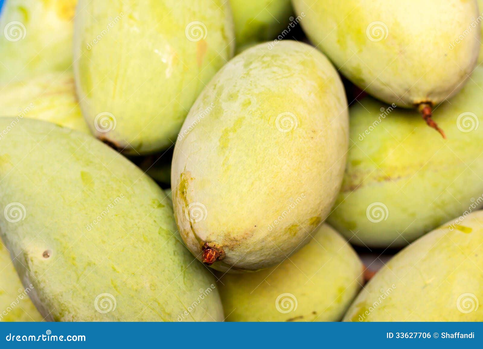 A Bunch Of Mangoes On The Stem Hanging From The Tree In Mango Season ...