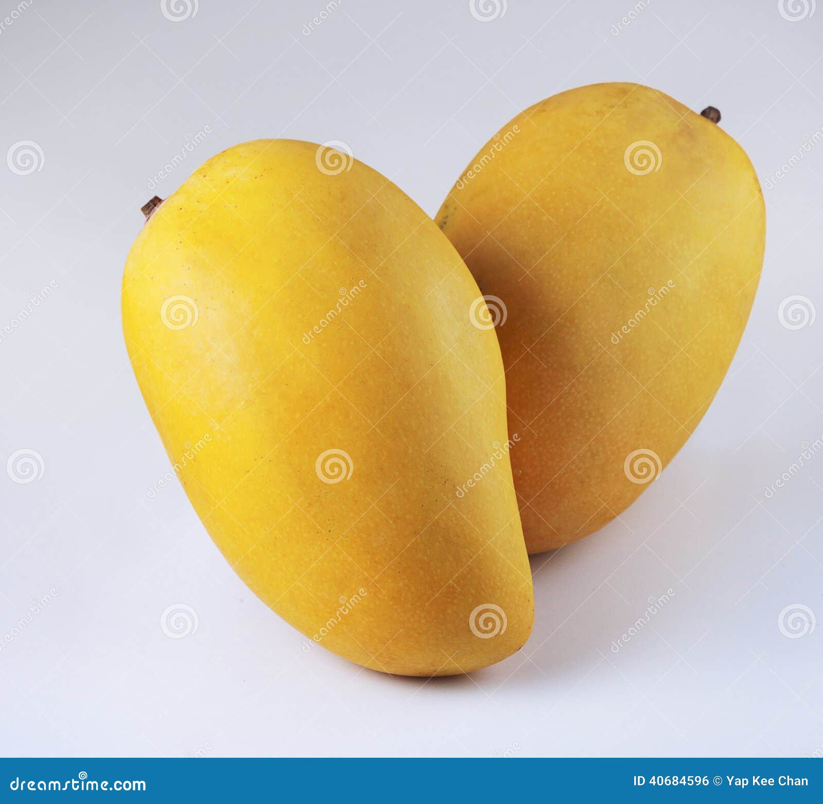 Mangoes stock photo. Image of background, white, yellow - 40684596