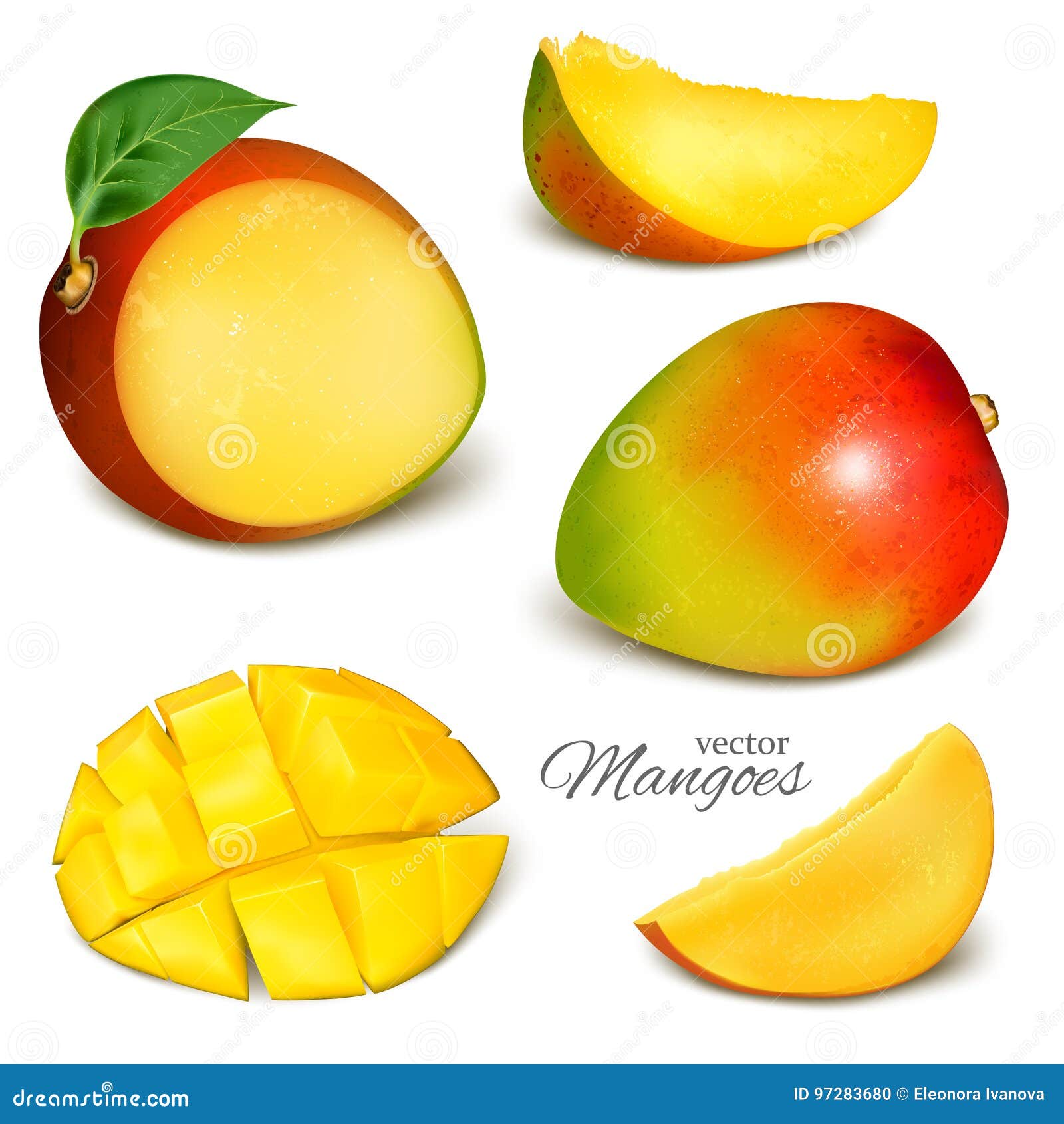 Mangoes stock vector. Illustration of tropical, slice - 97283680