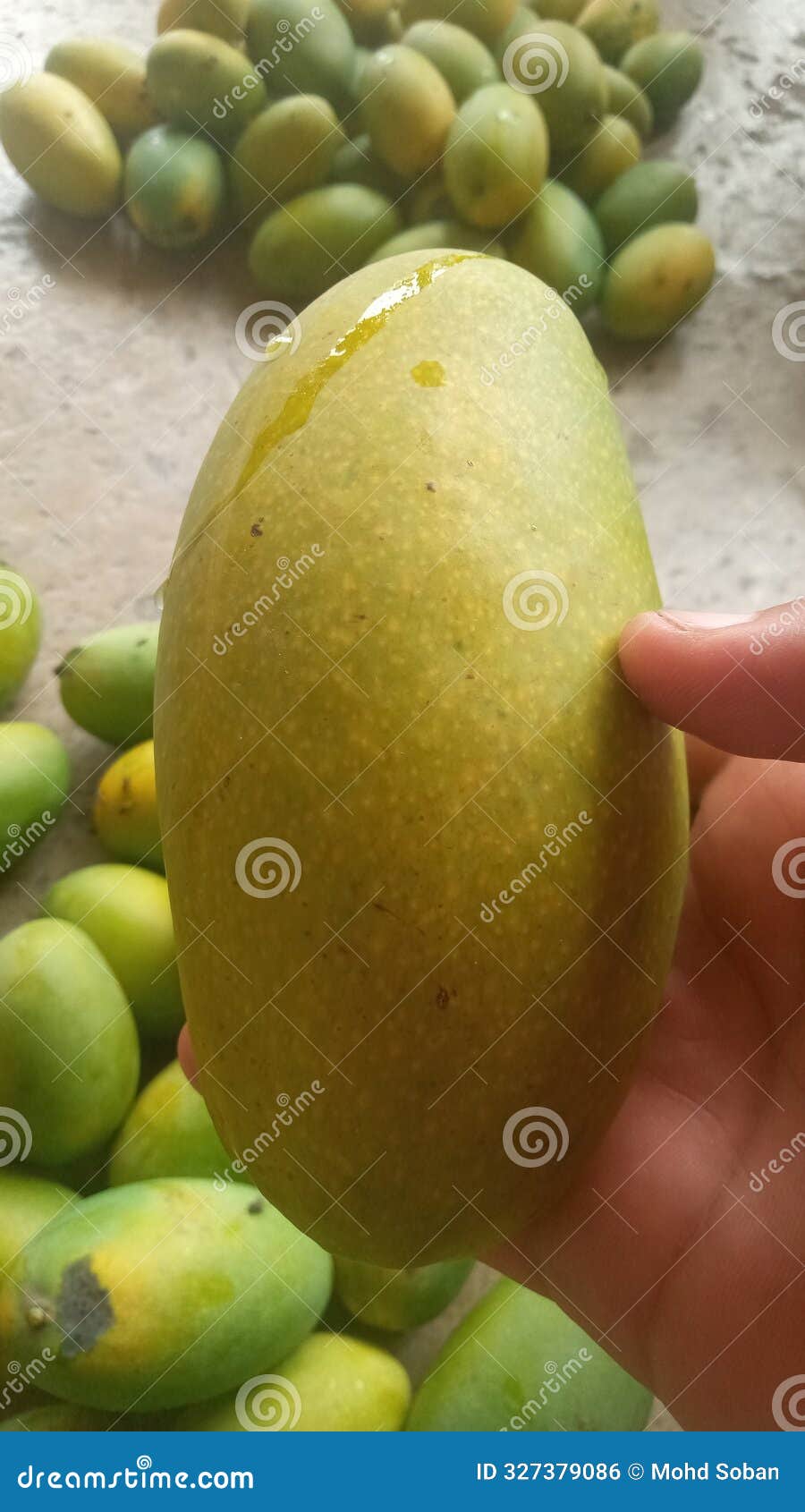 Mangoes Hd File the Best Image Stock Photo - Image of dish, plant ...