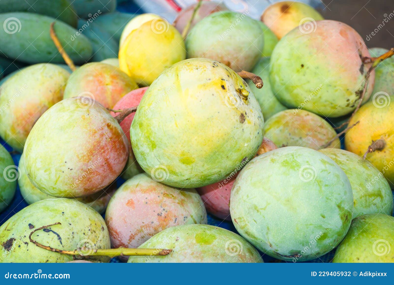 Mangoes R2E2 stock photo. Image of healthy, dessert - 229405932