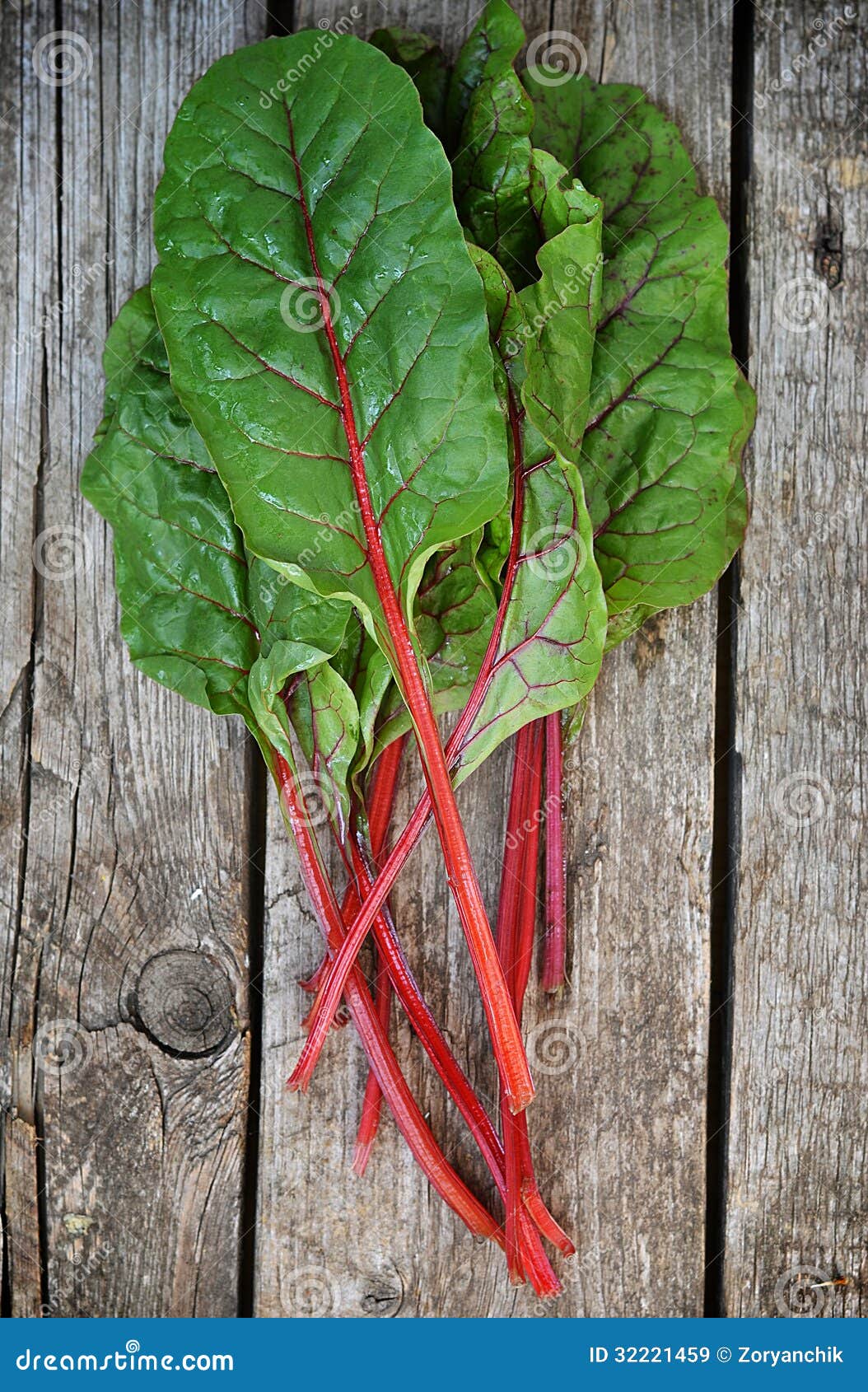 Mangold stock image. Image of healthy, freshness, light - 32221459