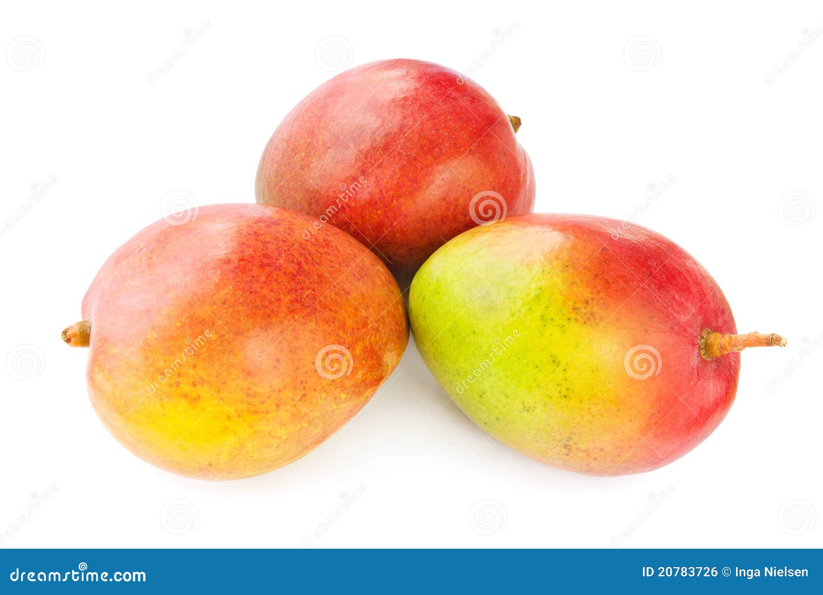 Mangos stock photo. Image of fruit, group, exotic, colorful - 20783726