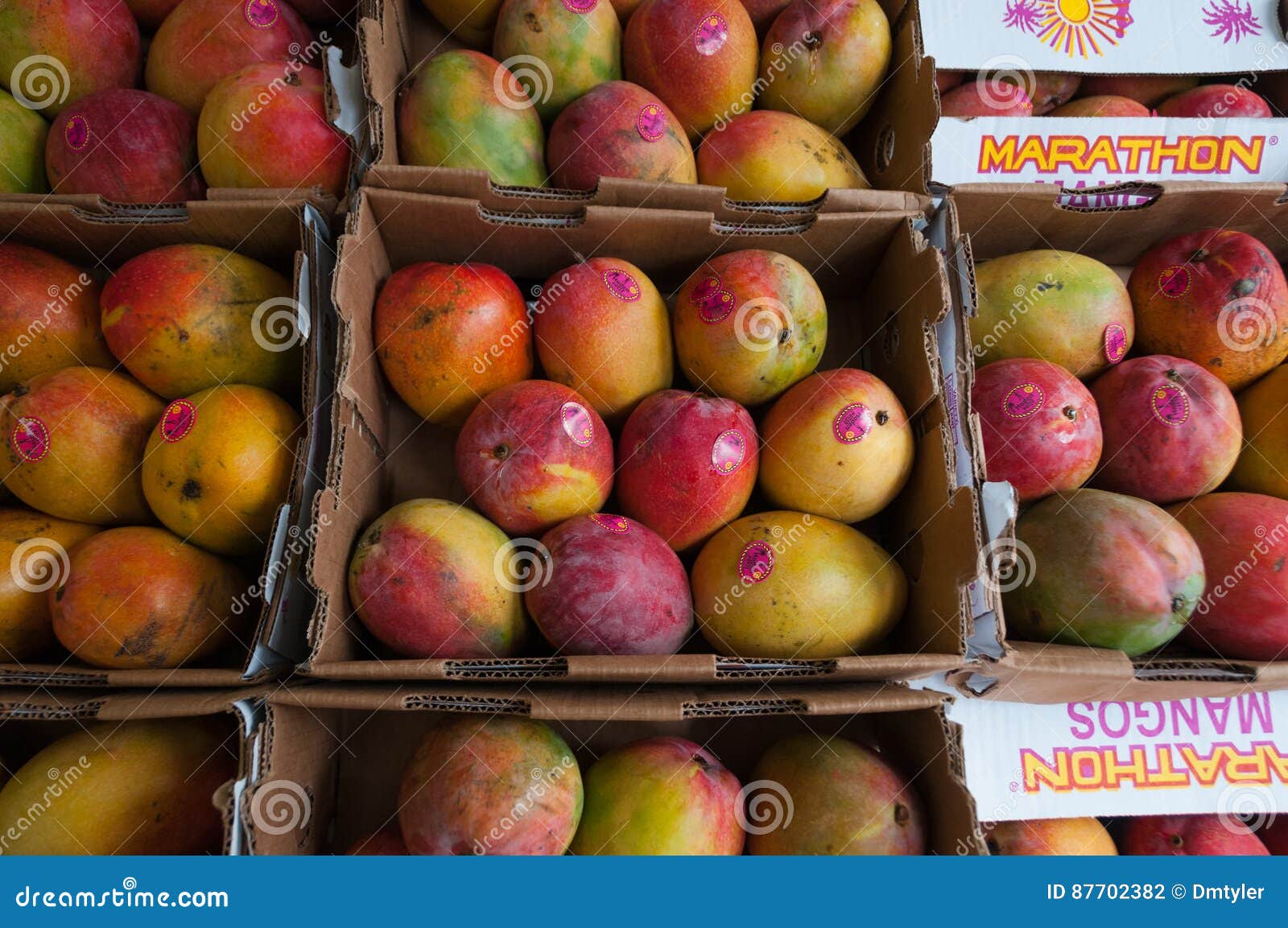 Mangos in boxes editorial photography. Image of yellow - 87702382