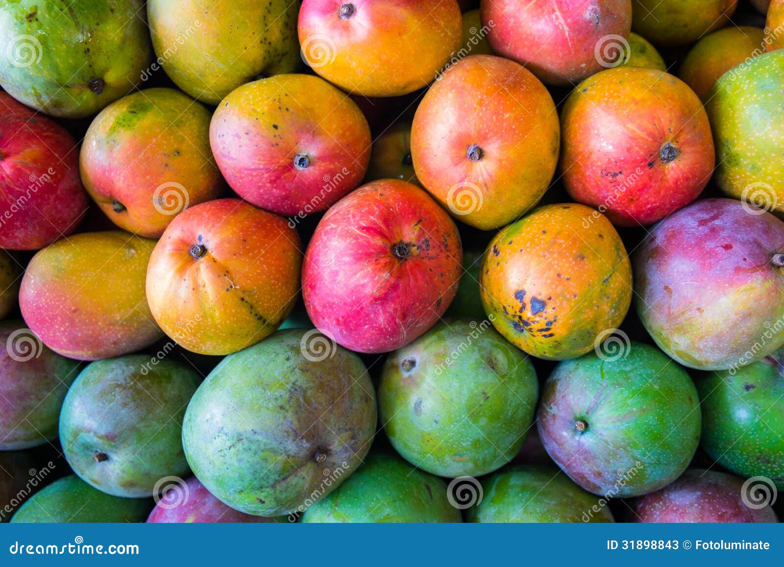 Mangos stock image. Image of fruit, mangoes, organic - 31898843