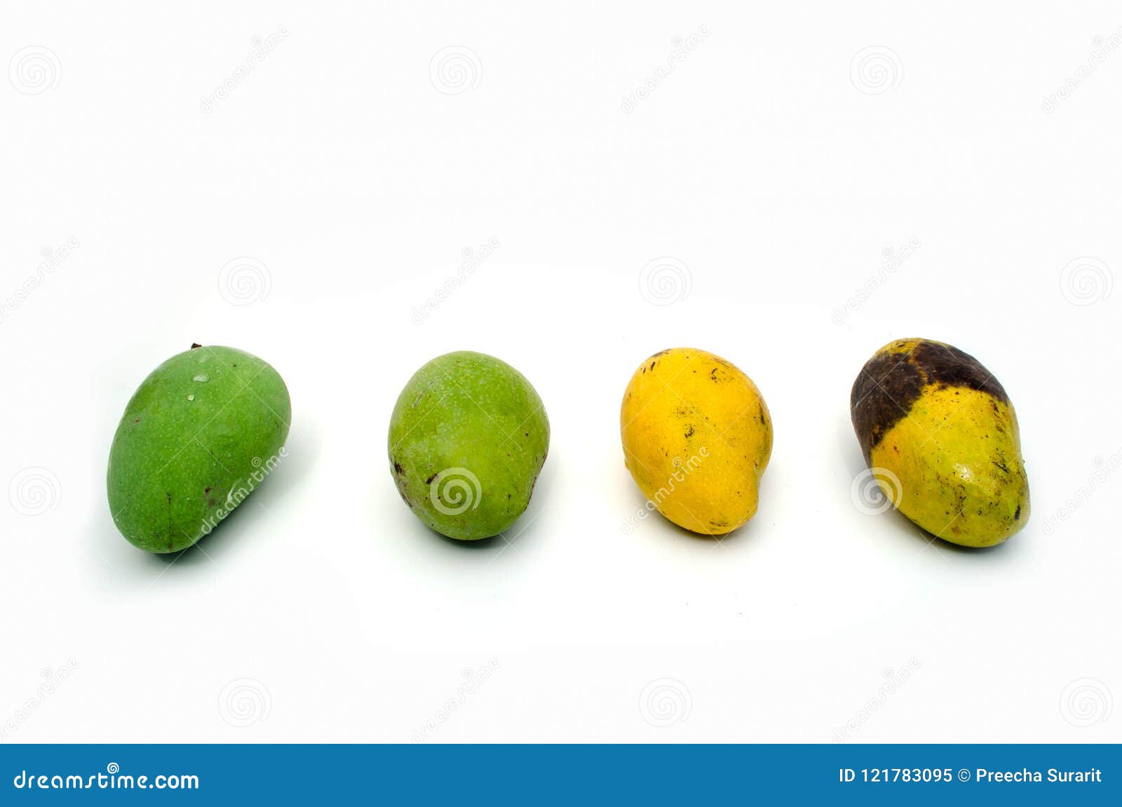 Phases Of The Rotting Yellow Apple. Royalty-Free Stock Photo ...