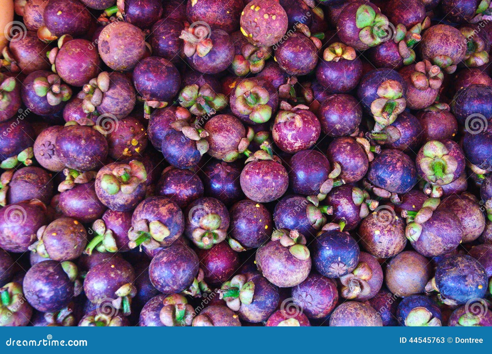 Mangostan stock afbeelding. Image of gezondheid, opbrengst - 44545763