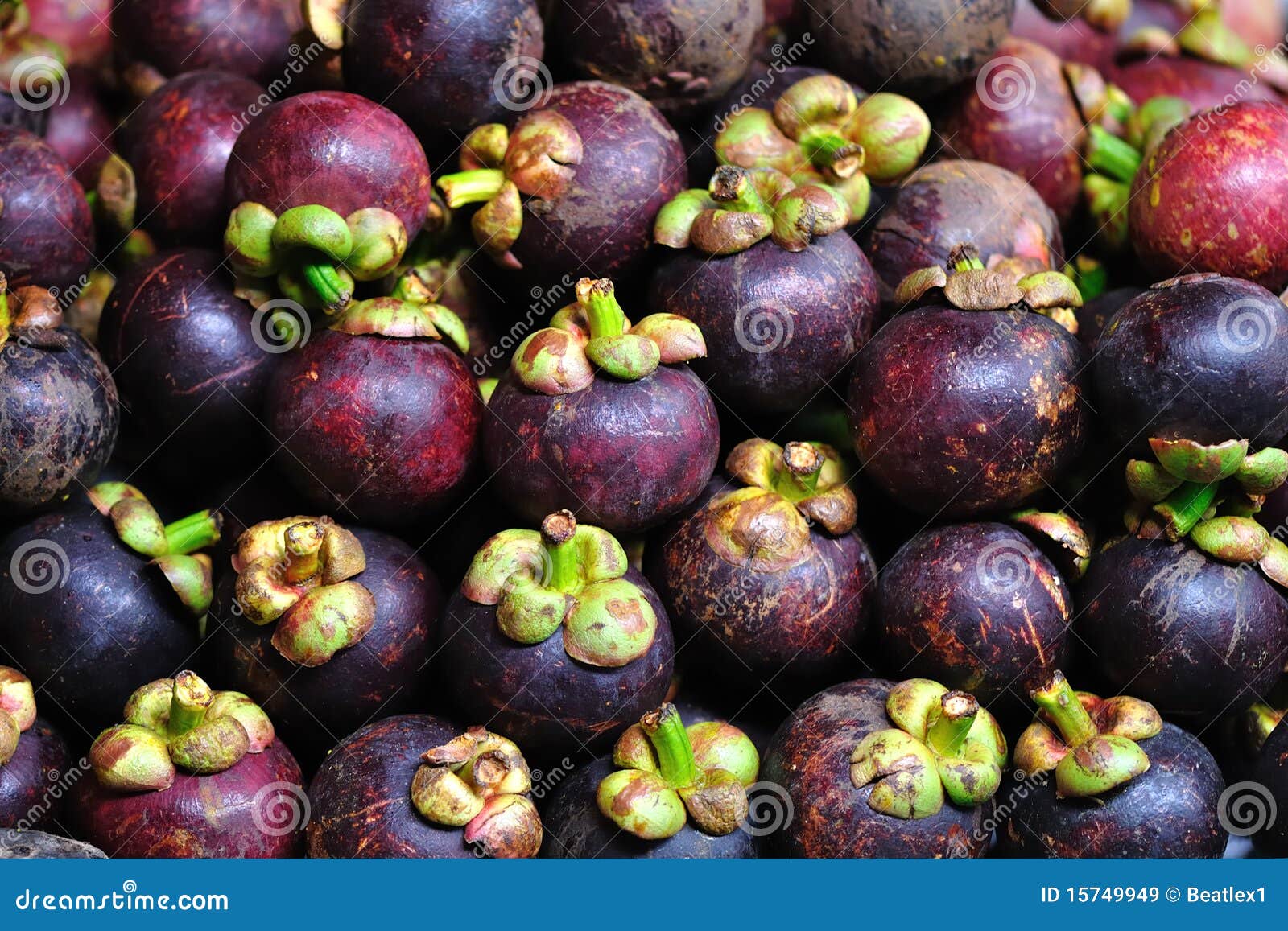 Mangosteen stock image. Image of asia, healthy, food - 15749949