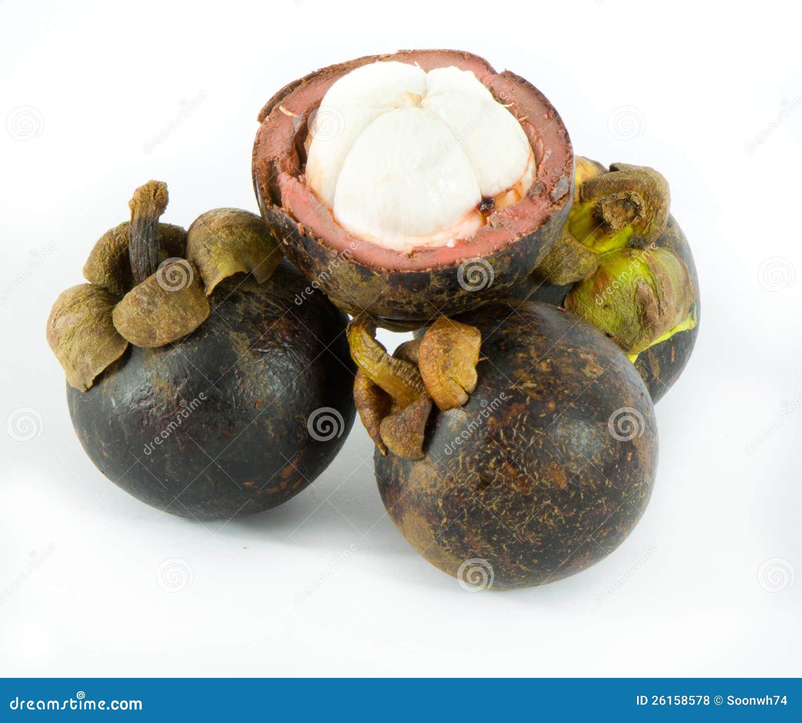 Mangosteen stock photo. Image of cooking, sour, nature - 26158578