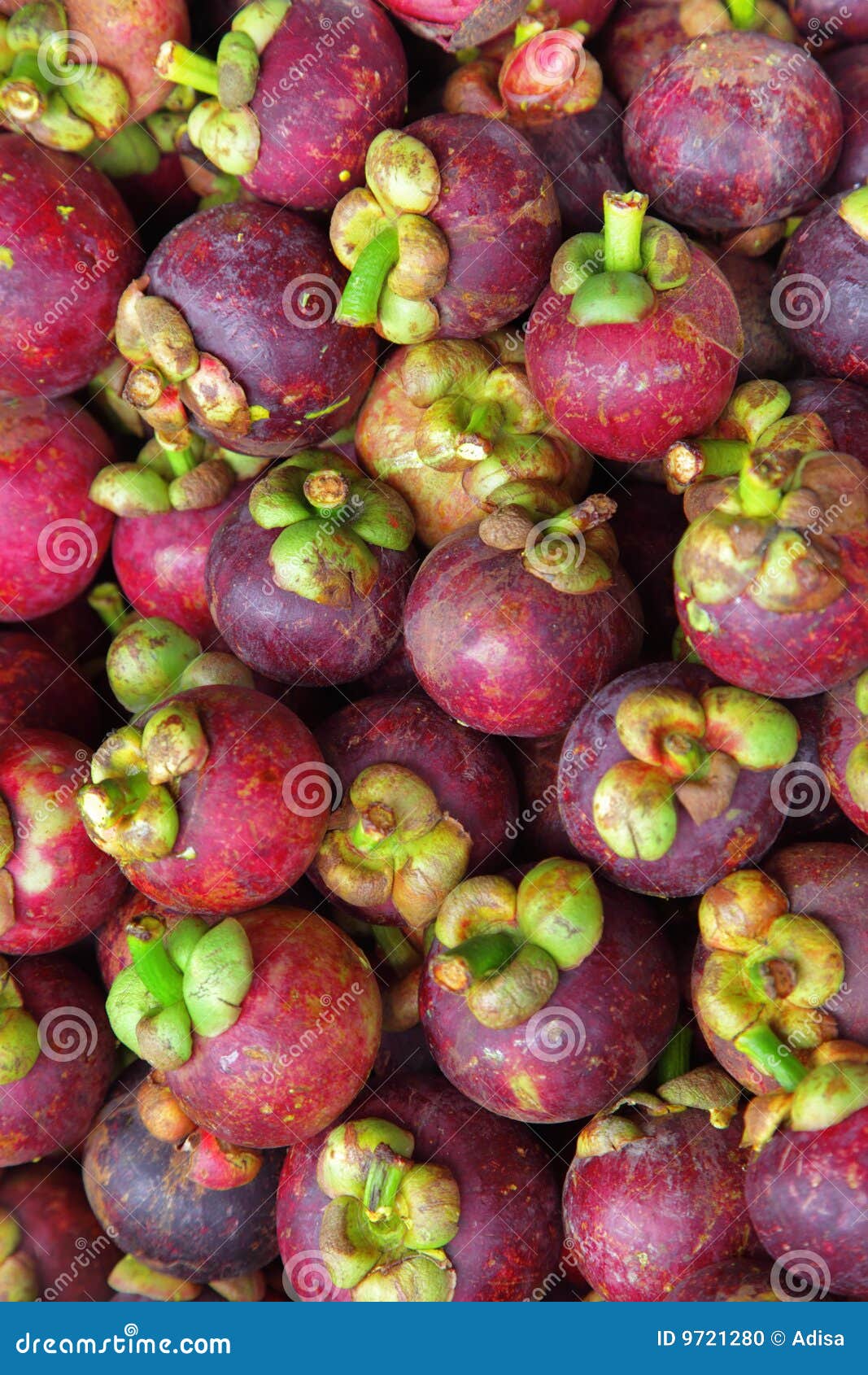 Mangosteen stock photo. Image of diet, agriculture, exotic - 9721280