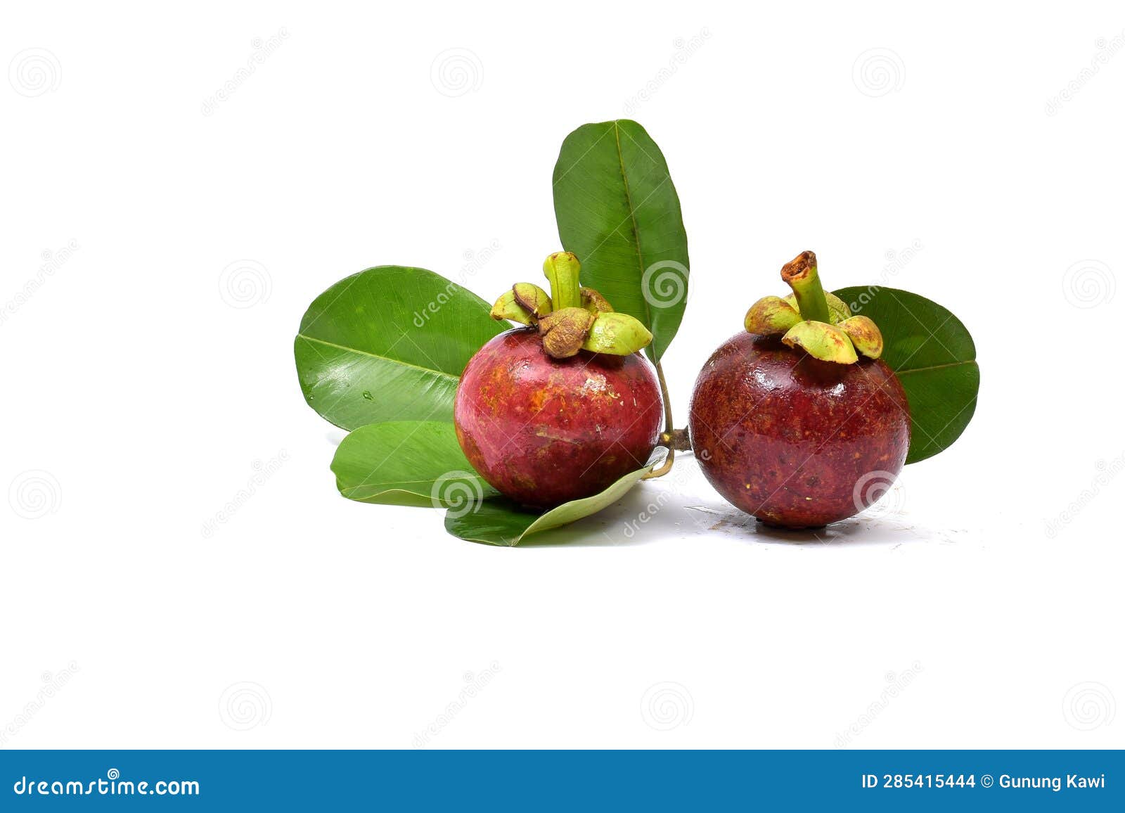 Mangosteen Fruit with Stem and Leaves on White Background Stock Photo ...