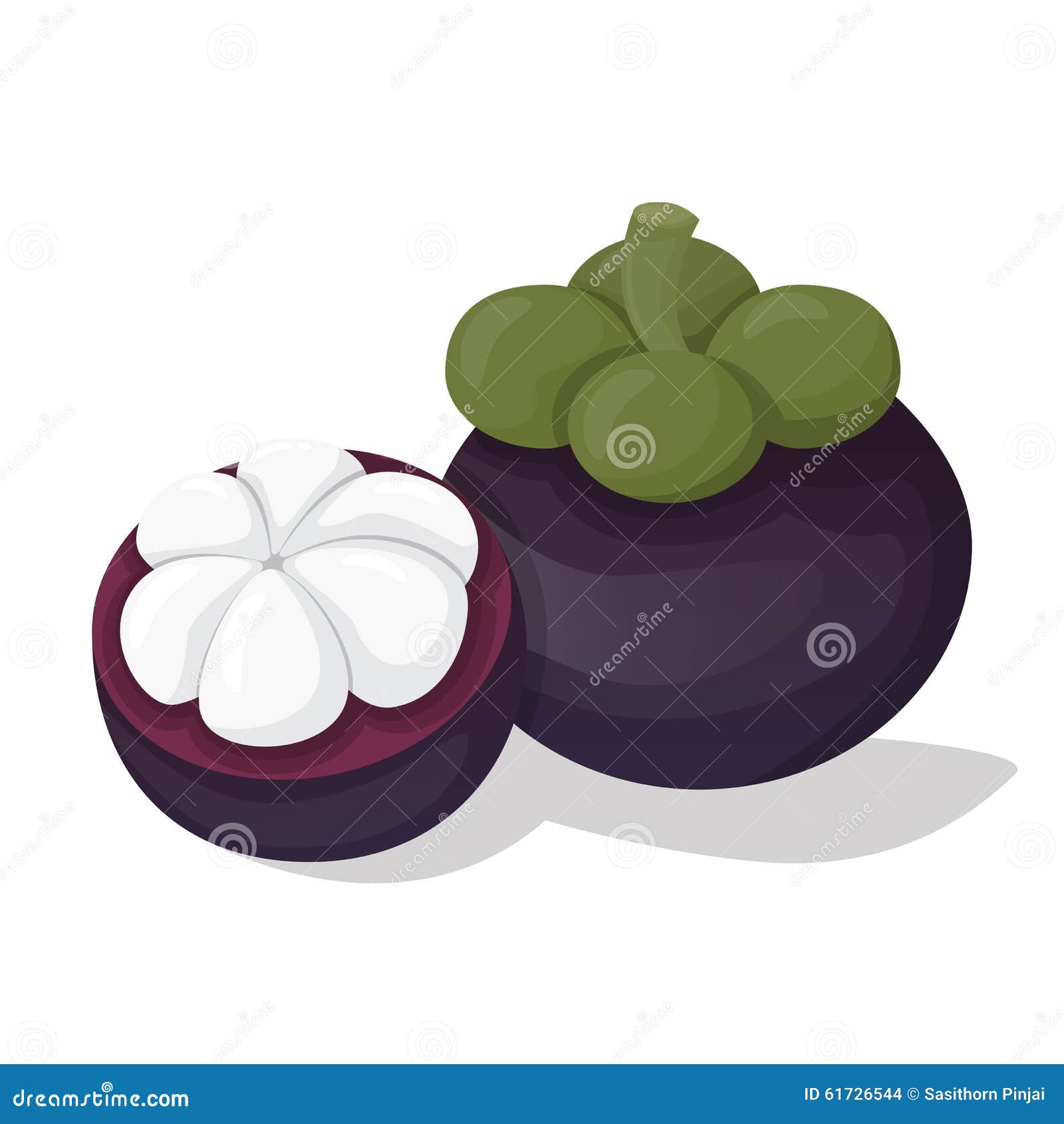Mangosteen fruit vector stock vector. Illustration of purple - 61726544