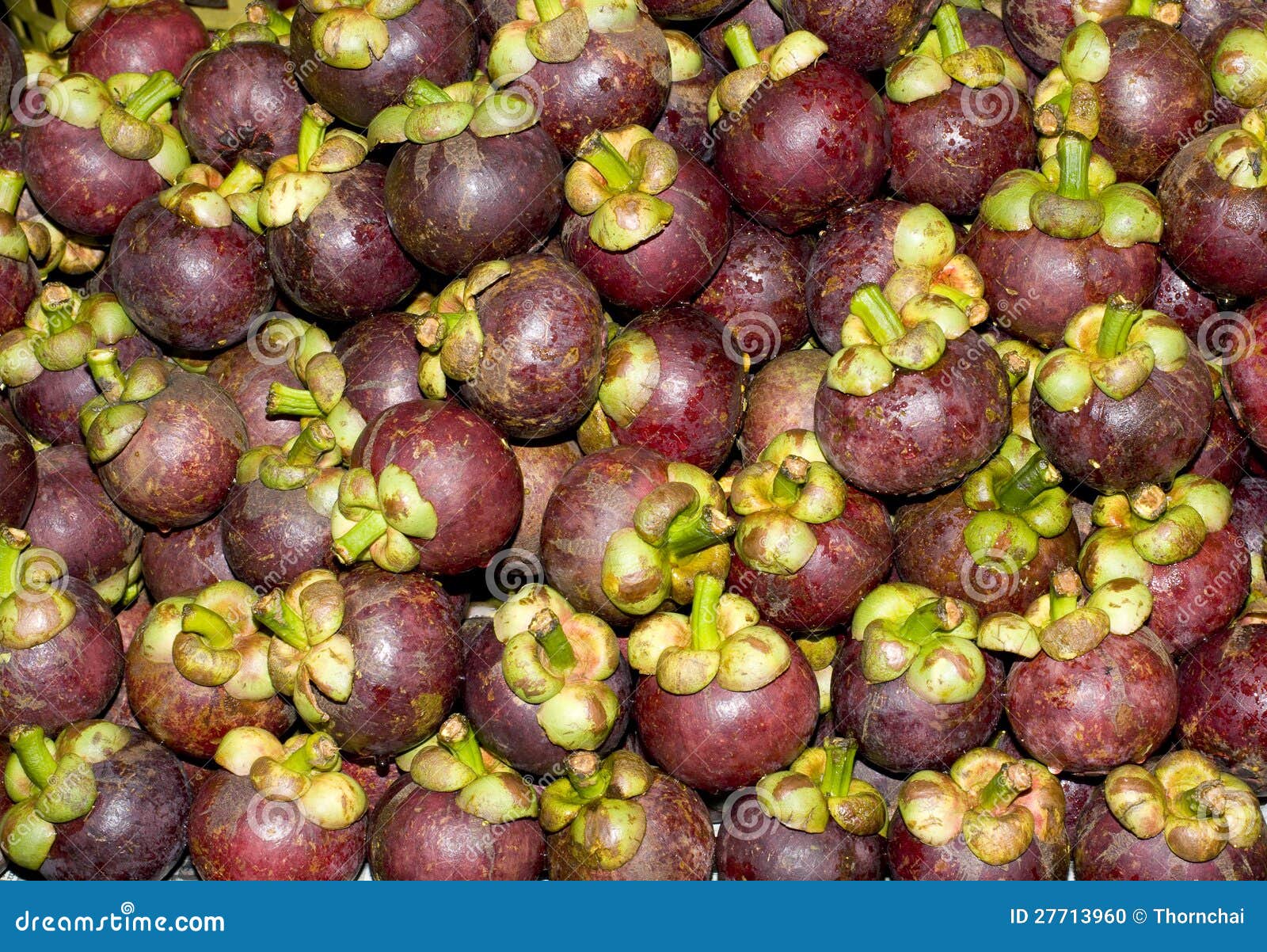 Mangosteen fruits stock photo. Image of tropic, fruits - 27713960