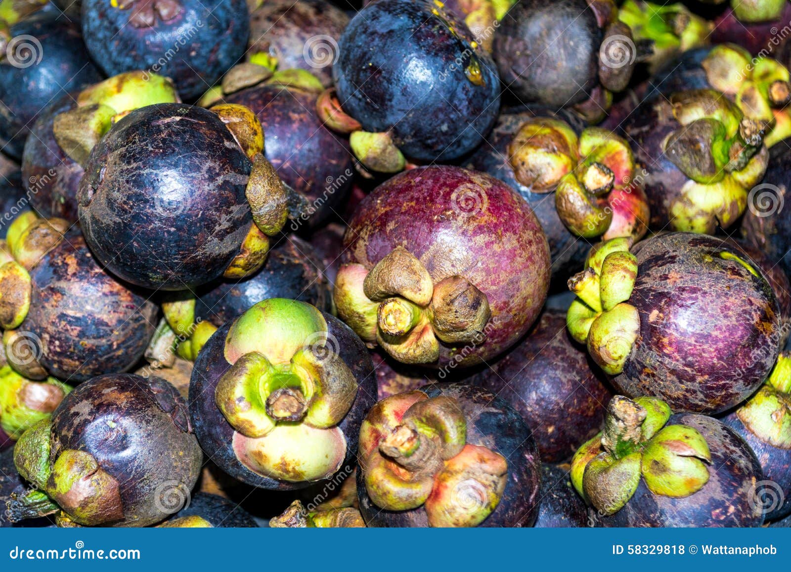 Mangosteen is Known As the Queen of Fruit in Thailand. Stock Photo ...