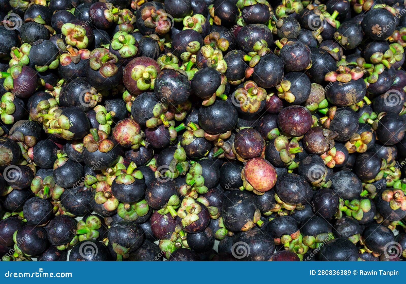 Mangosteen queen of fruit stock image. Image of tasty - 280836389