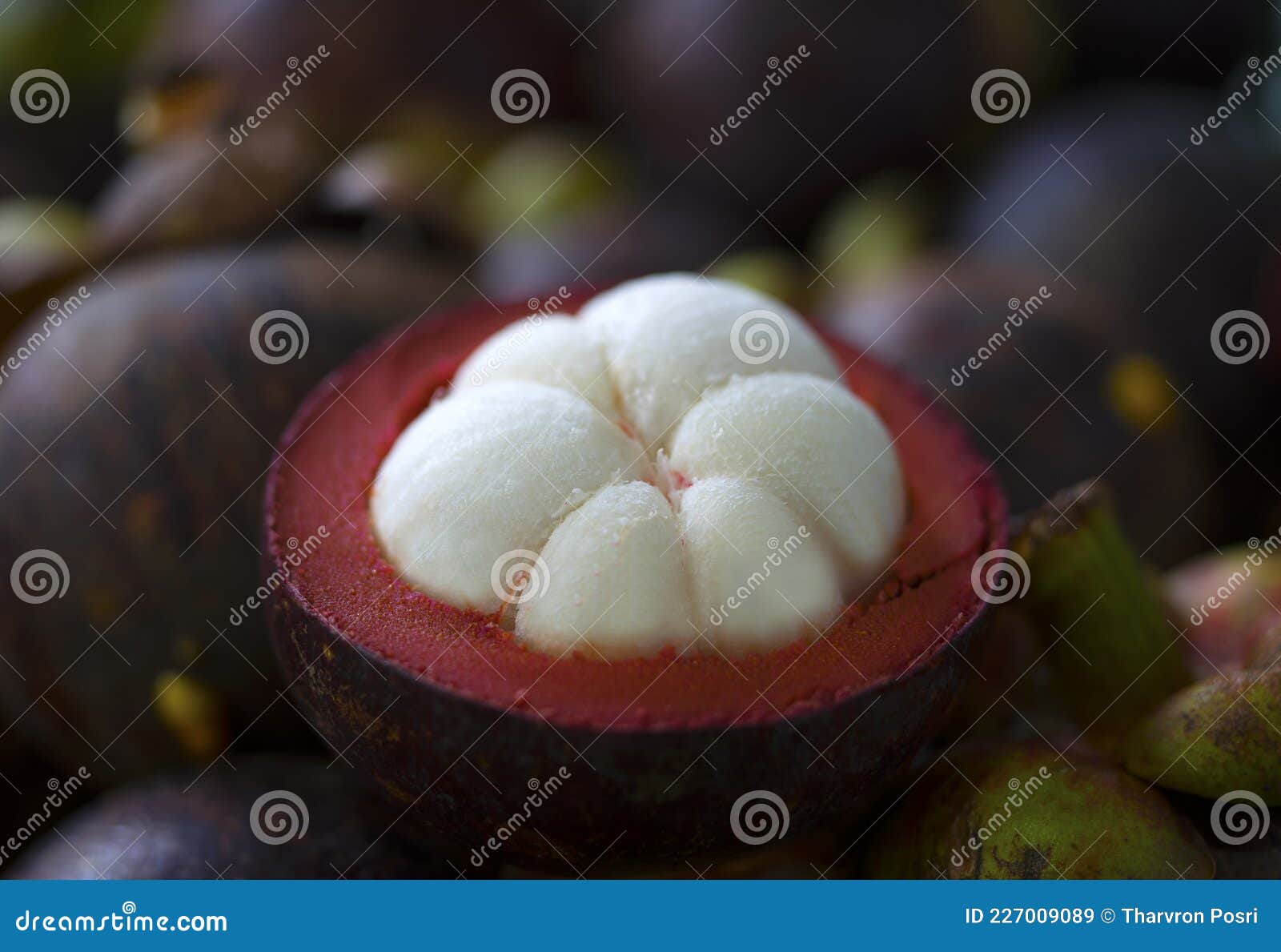 Mangosteen is Queen of Tropical Fruit in Thailand Stock Image - Image ...