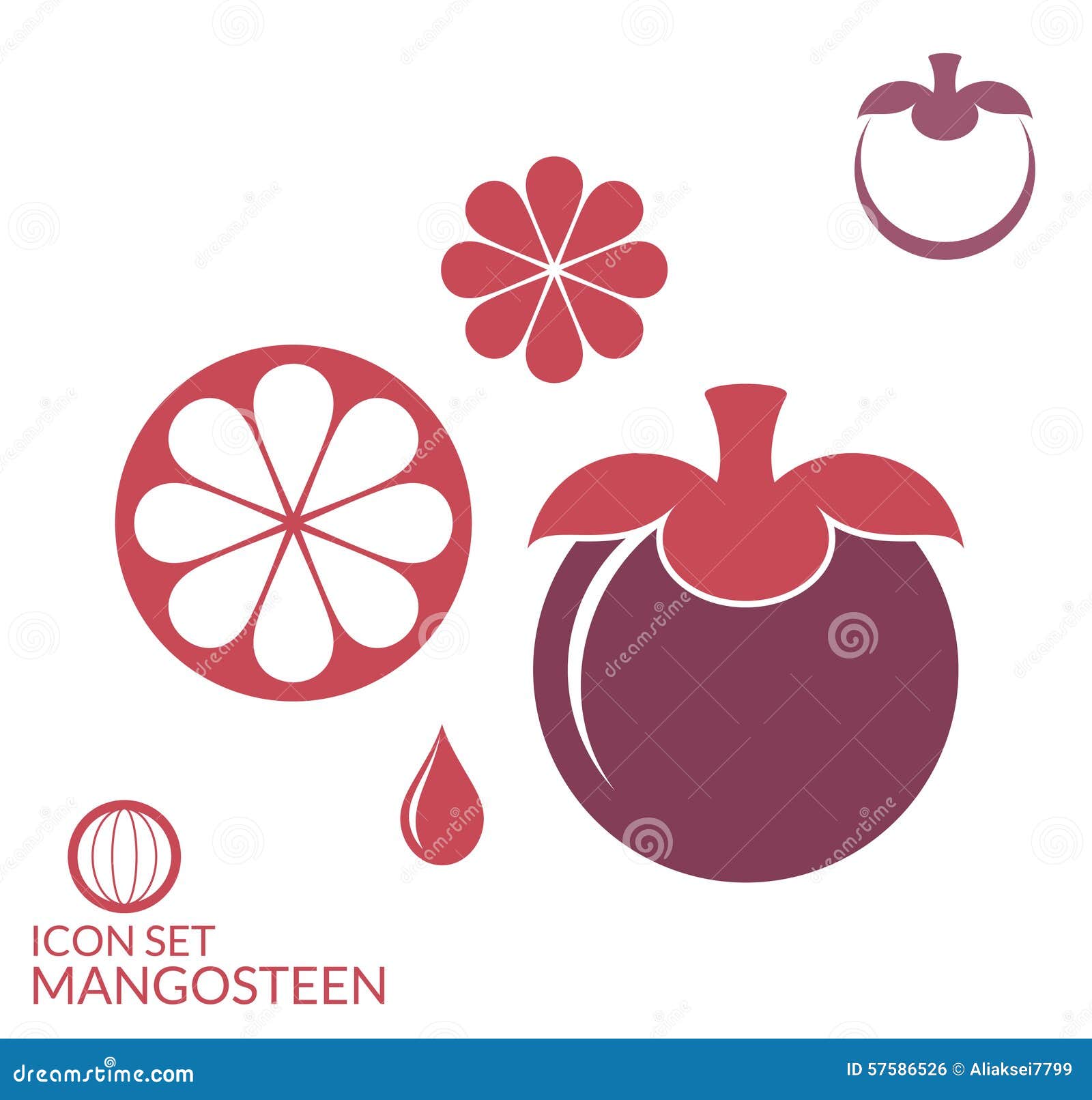 Mangosteen. Exotic fruit stock vector. Illustration of icon - 57586526