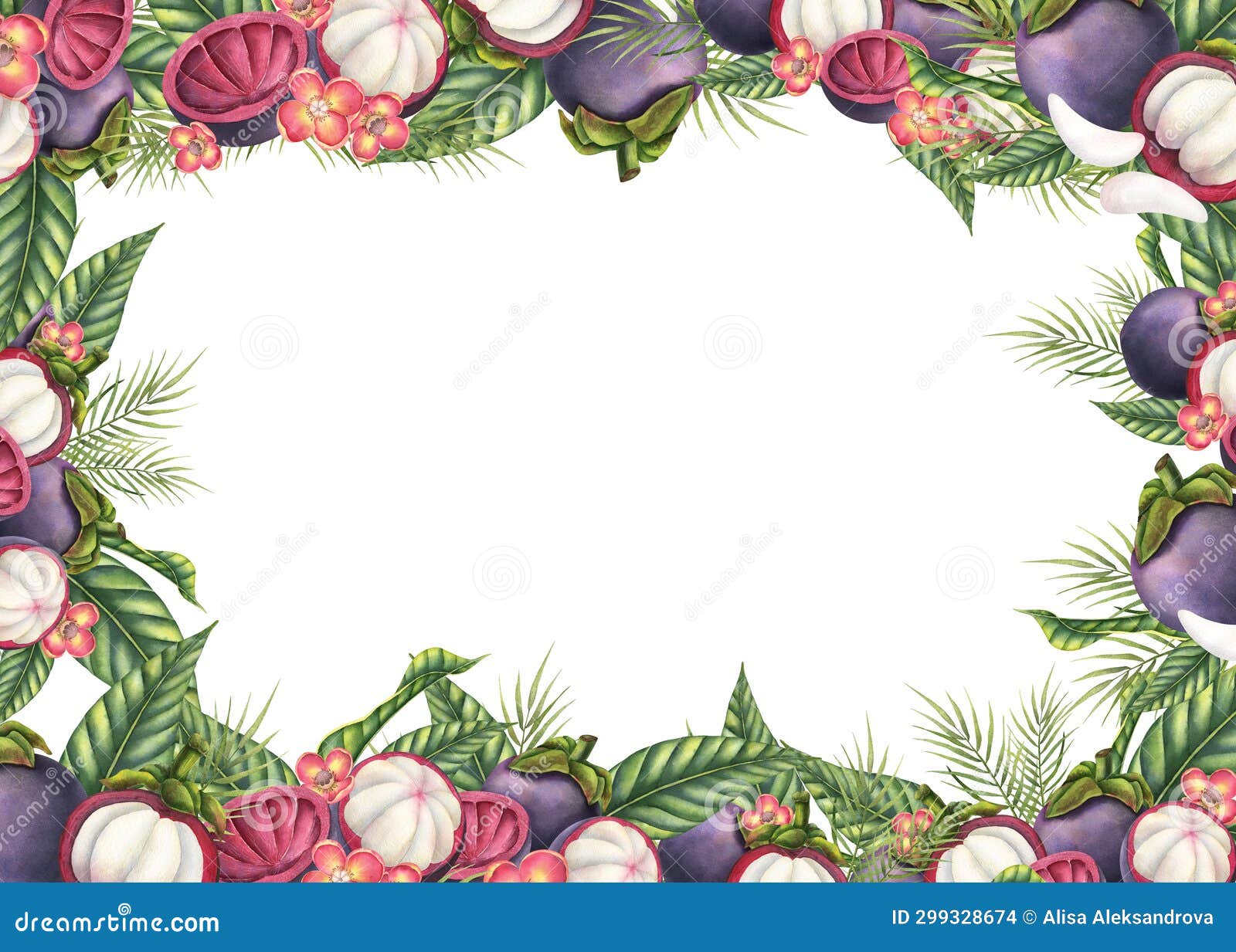 Mangosteen Watercolor Frame. Hand Drawn Illustration of Exotic Tropical ...