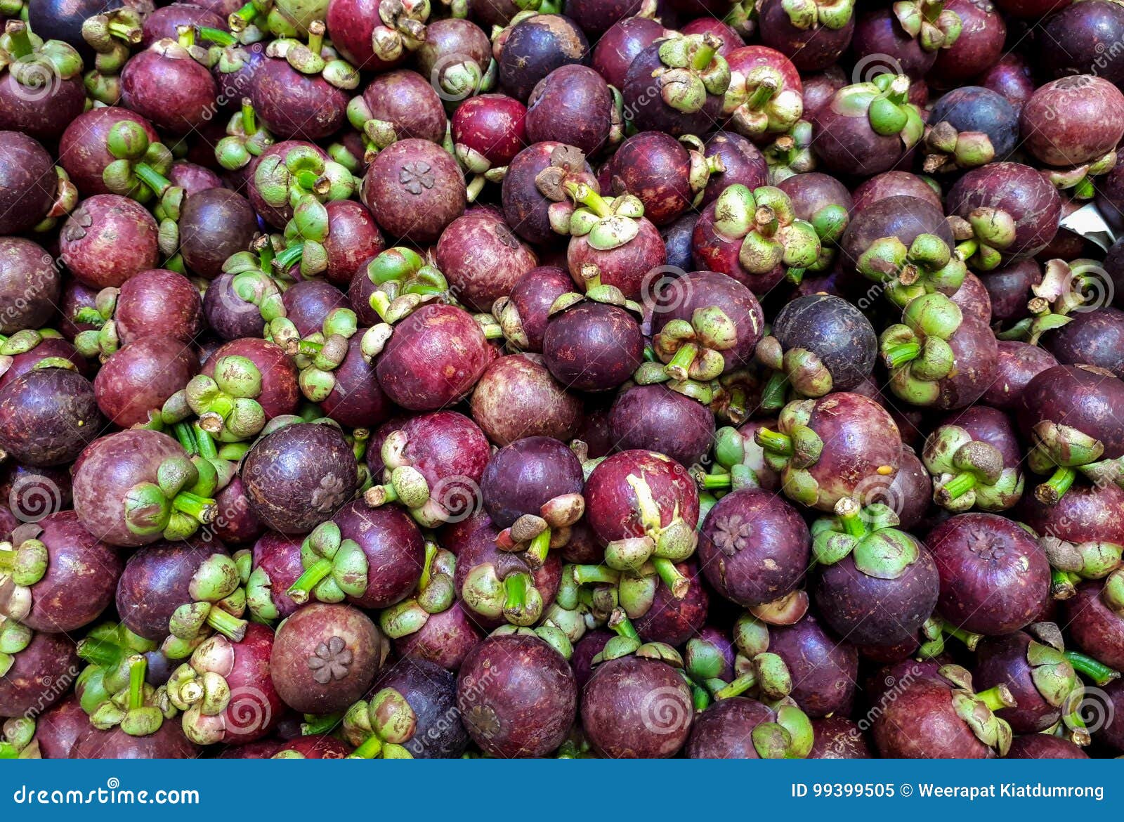 Mangosteens fotografering för bildbyråer. Bild av smakligt - 99399505