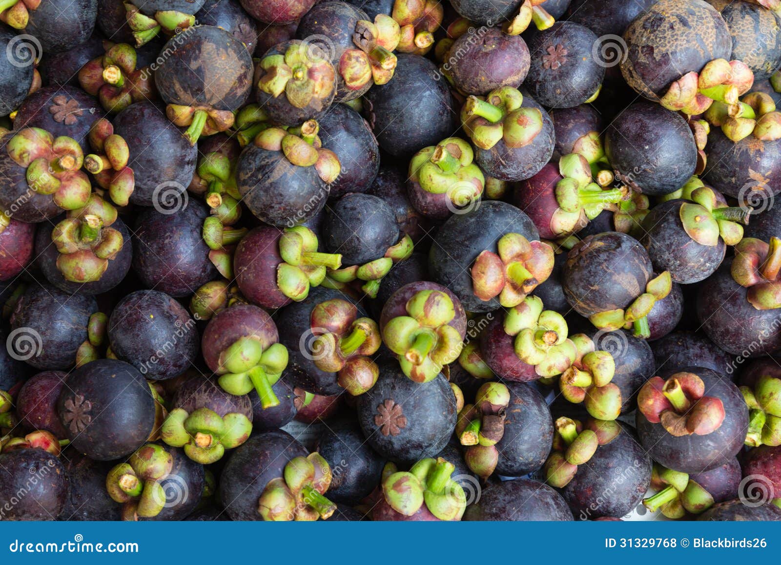 Mangoustan photo stock. Image du délicieux, frais, organique - 31329768