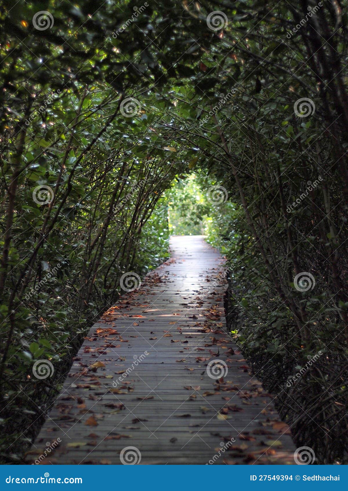 Antion Park Stock Photos - Free & Royalty-Free Stock Photos from Dreamstime