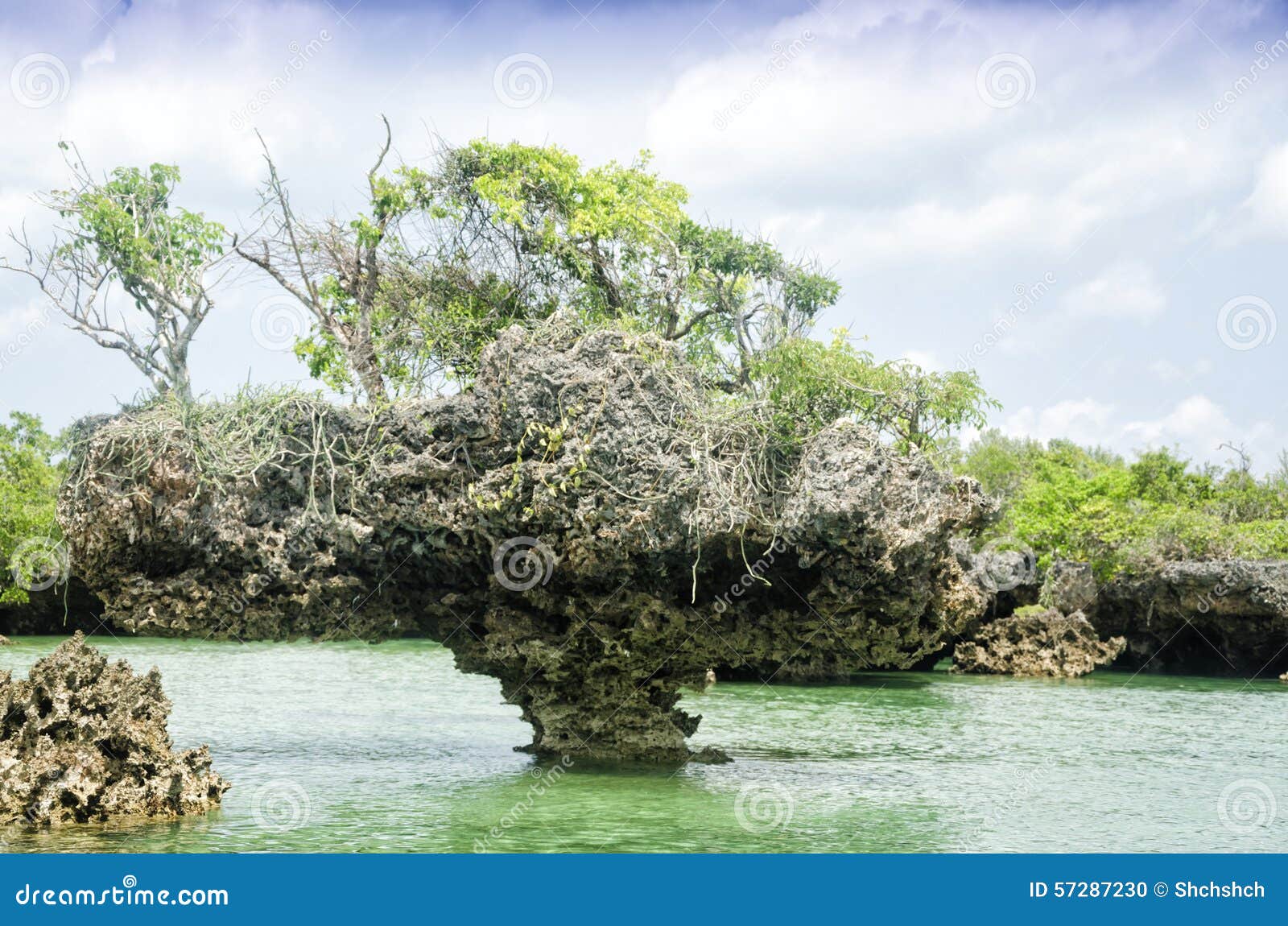 Mangrove coast stock photo. Image of rocks, island, beautiful - 57287230