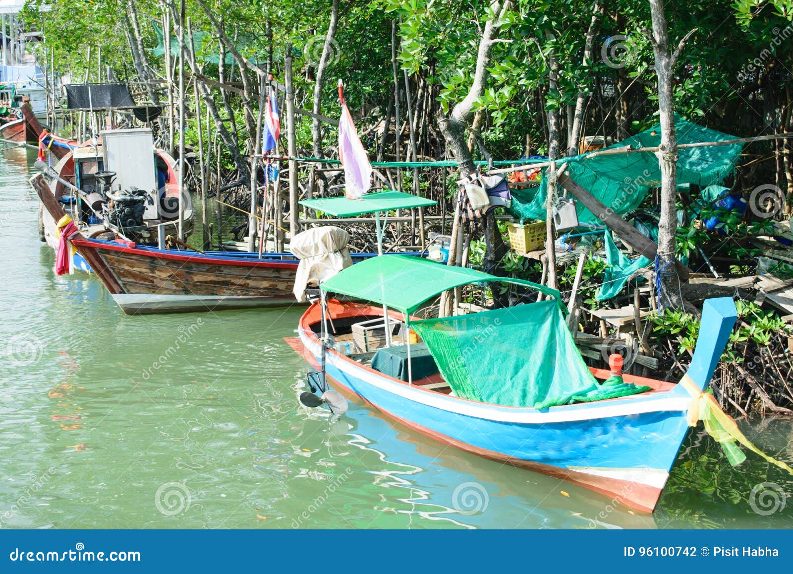 Mangrove forest pier stock photo. Image of mangroves - 96100742