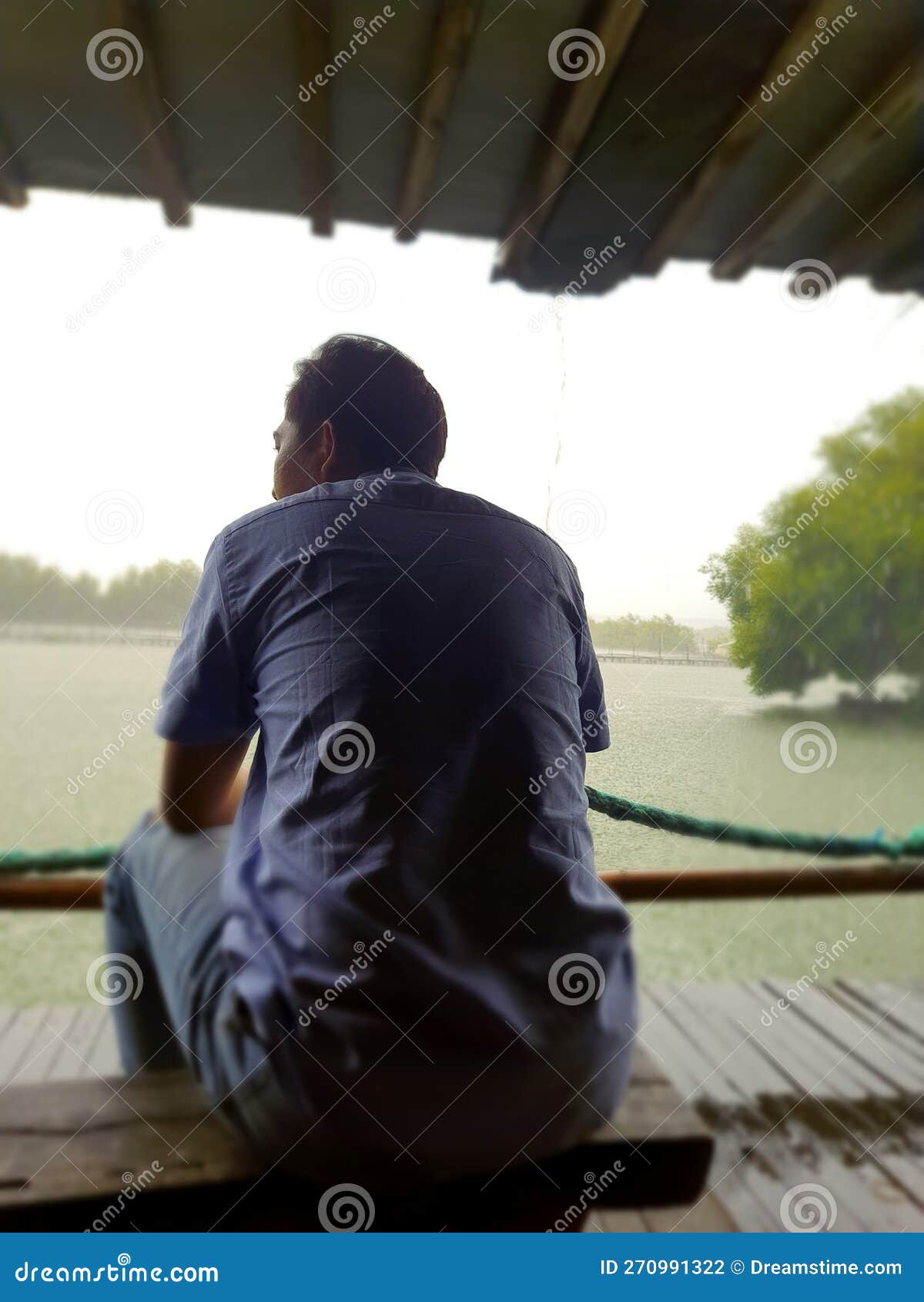 Enjoying Solitude with the Rainy Day Stock Photo - Image of view, limb ...