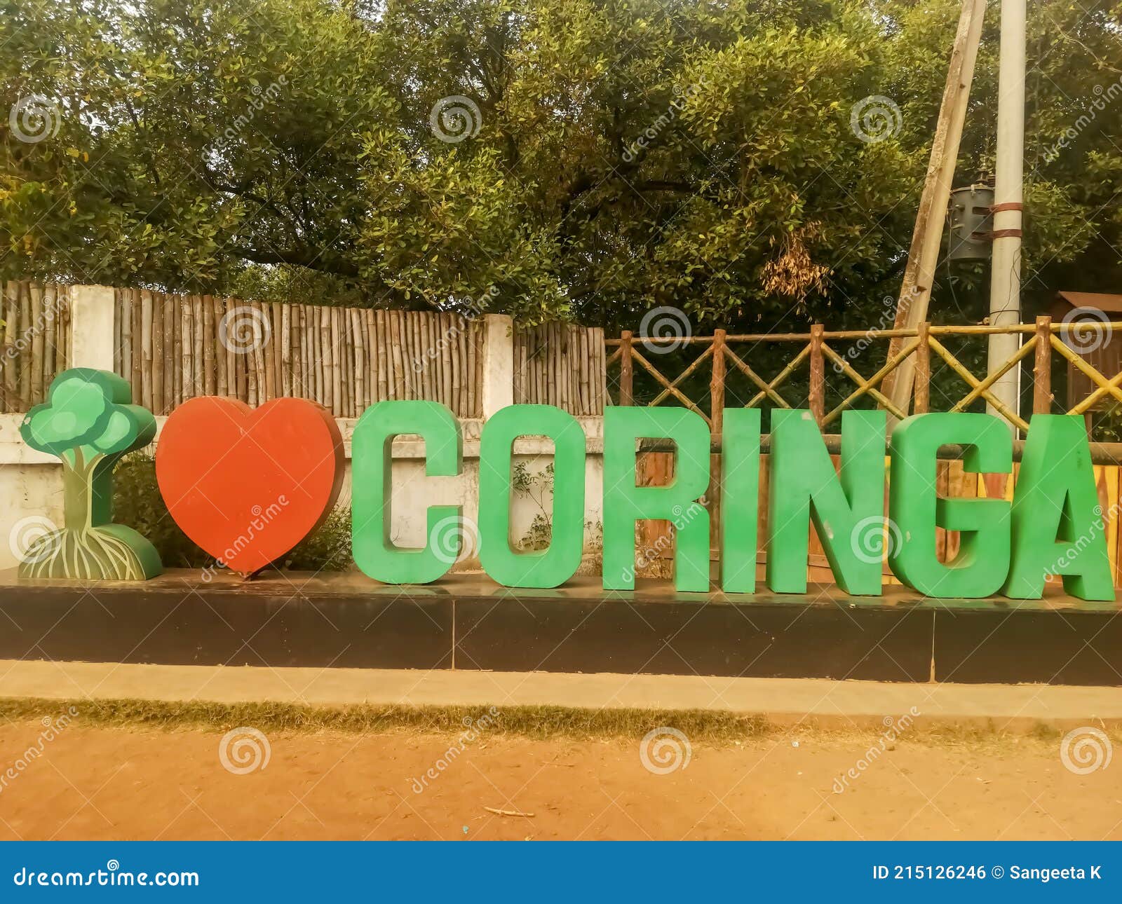 Mangrove Forests at Koringa in AP Editorial Photo - Image of koringa ...