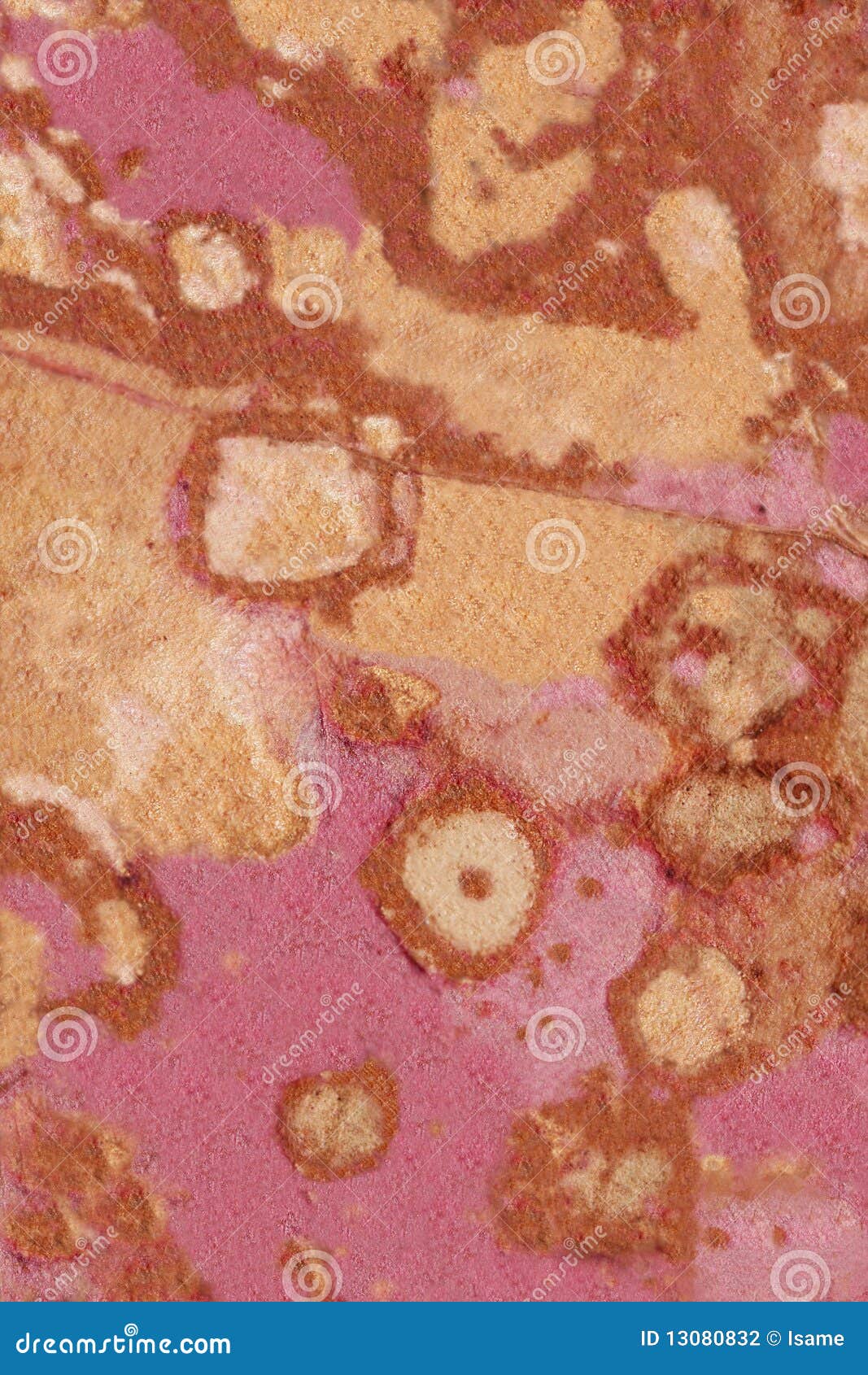 Mangrove leaf pattern stock photo. Image of element, beautiful - 13080832