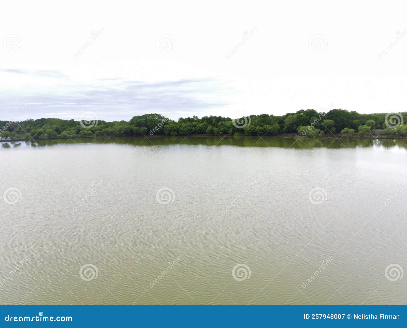 Mangrove Ponds in Mengare Gresik East Java Indonesia Stock Image ...