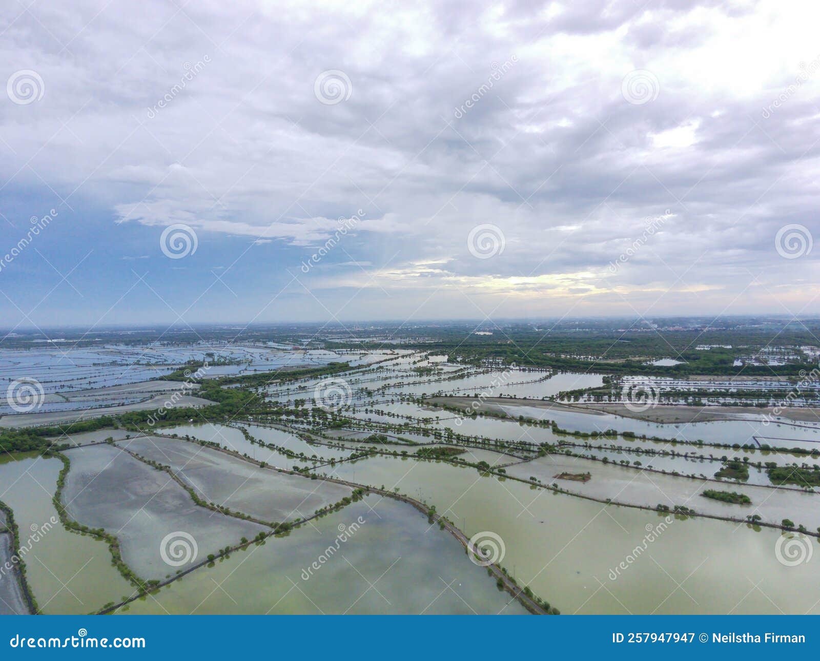 Mangrove Ponds in Mengare Gresik East Java Indonesia Stock Image ...