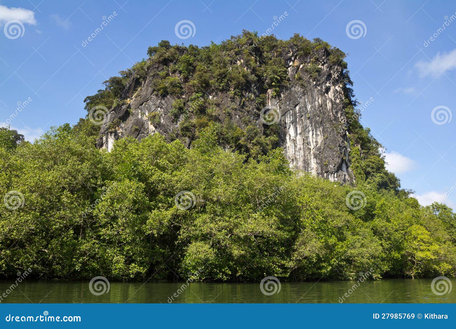 Mangrove Swamp and Stone Mountain Stock Image - Image of coast ...