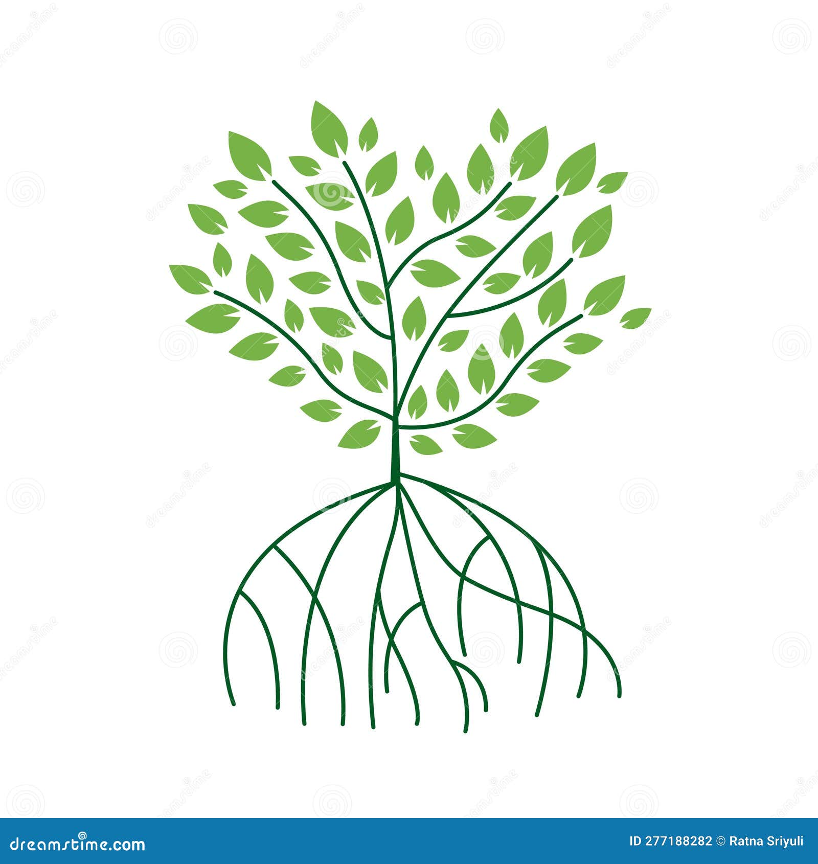 Mangrove Tree Design Vector Flat Isolated Illustration Stock Vector ...