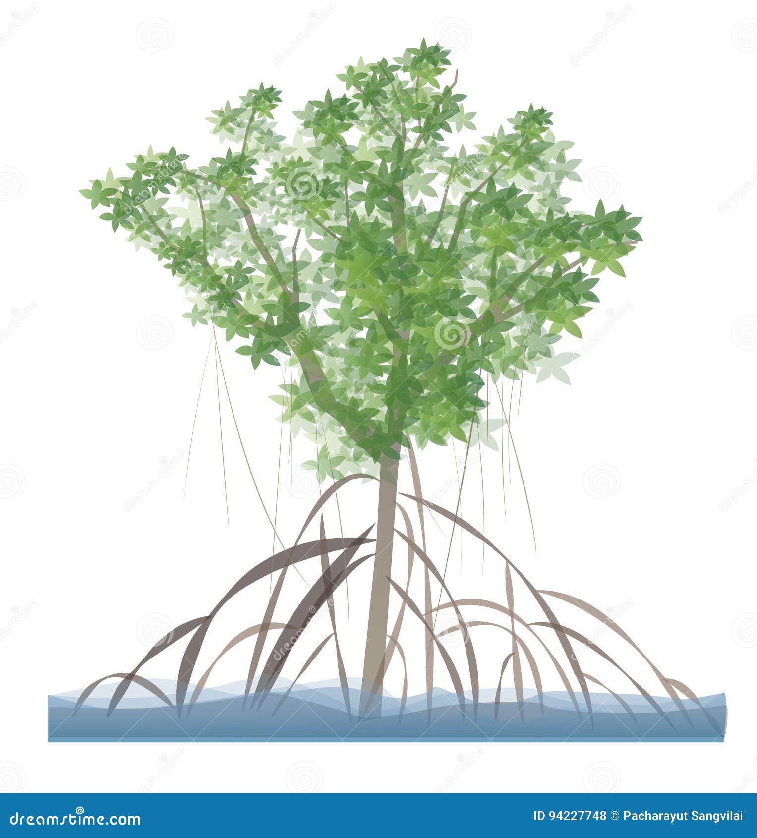 Mangrove Tree Symbol Vector Logo | CartoonDealer.com #245984562 Mangrove Tree Symbol Vector Logo | CartoonDealer.com #245984562