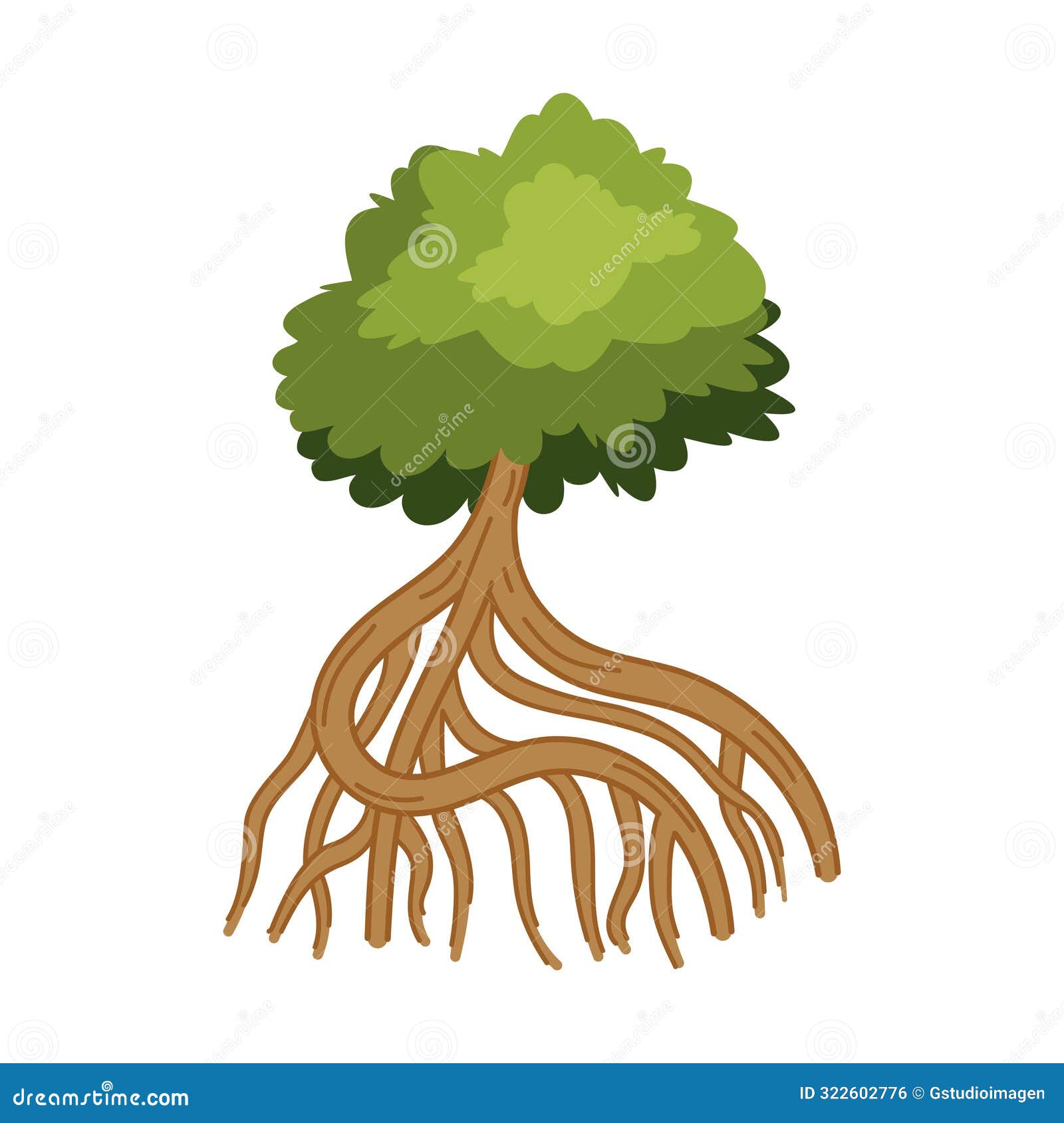 Mangrove Tree with Large Roots Stock Vector - Illustration of natural ...