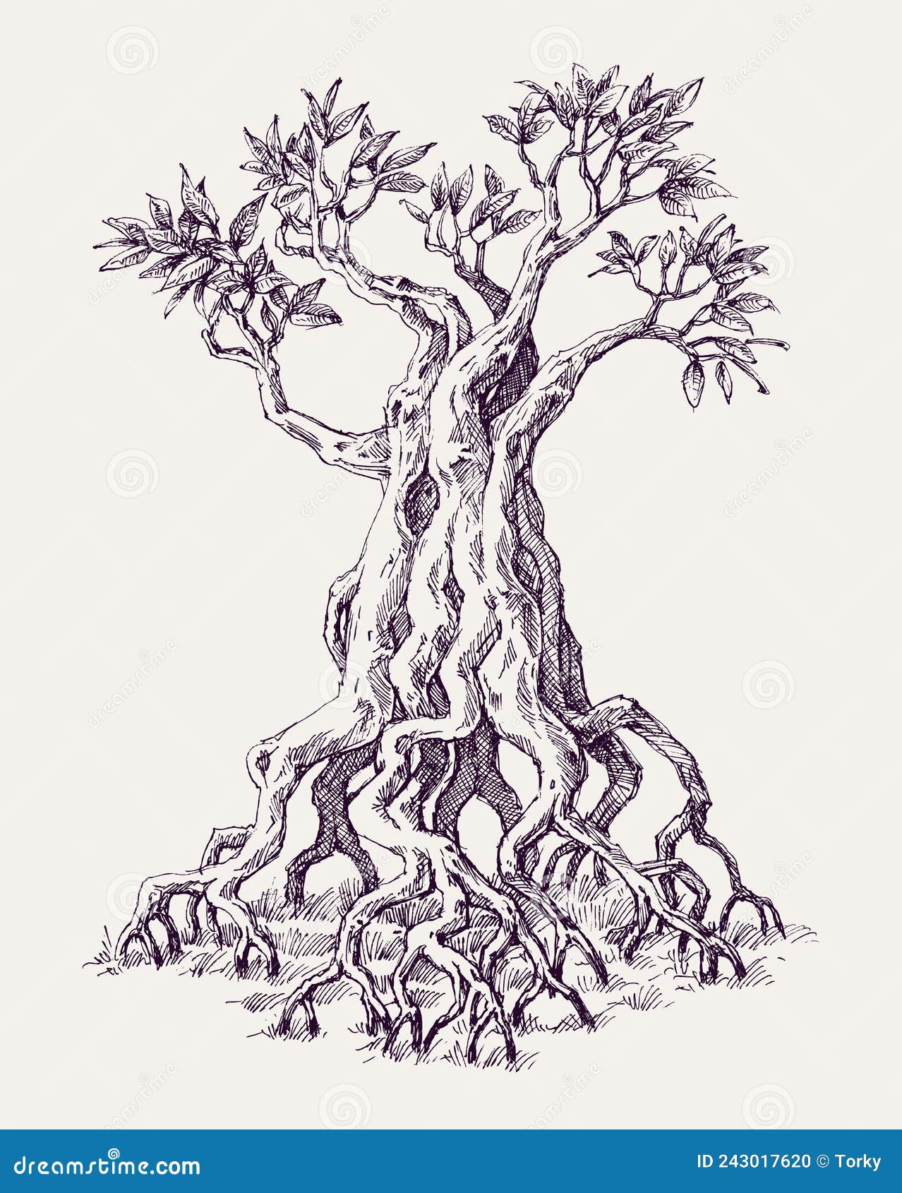 Twisted Tree Roots Drawing