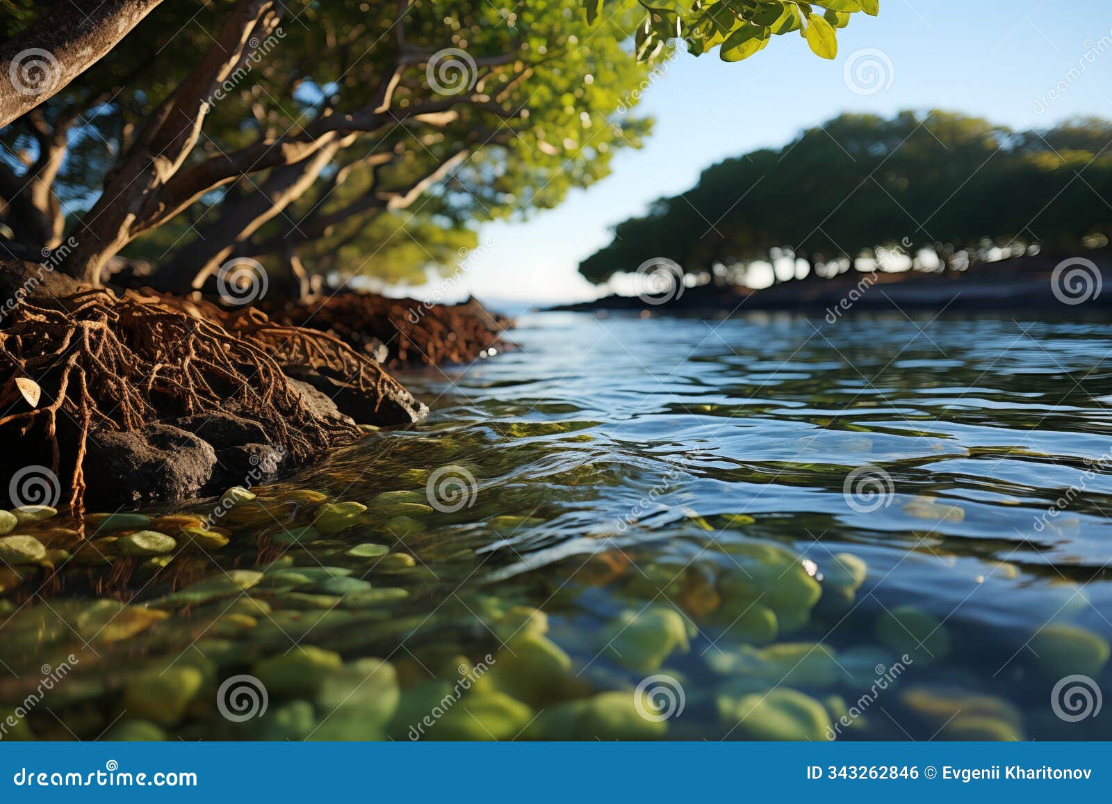 Mangrove Trees In Pop Art Royalty-Free Cartoon | CartoonDealer.com ...