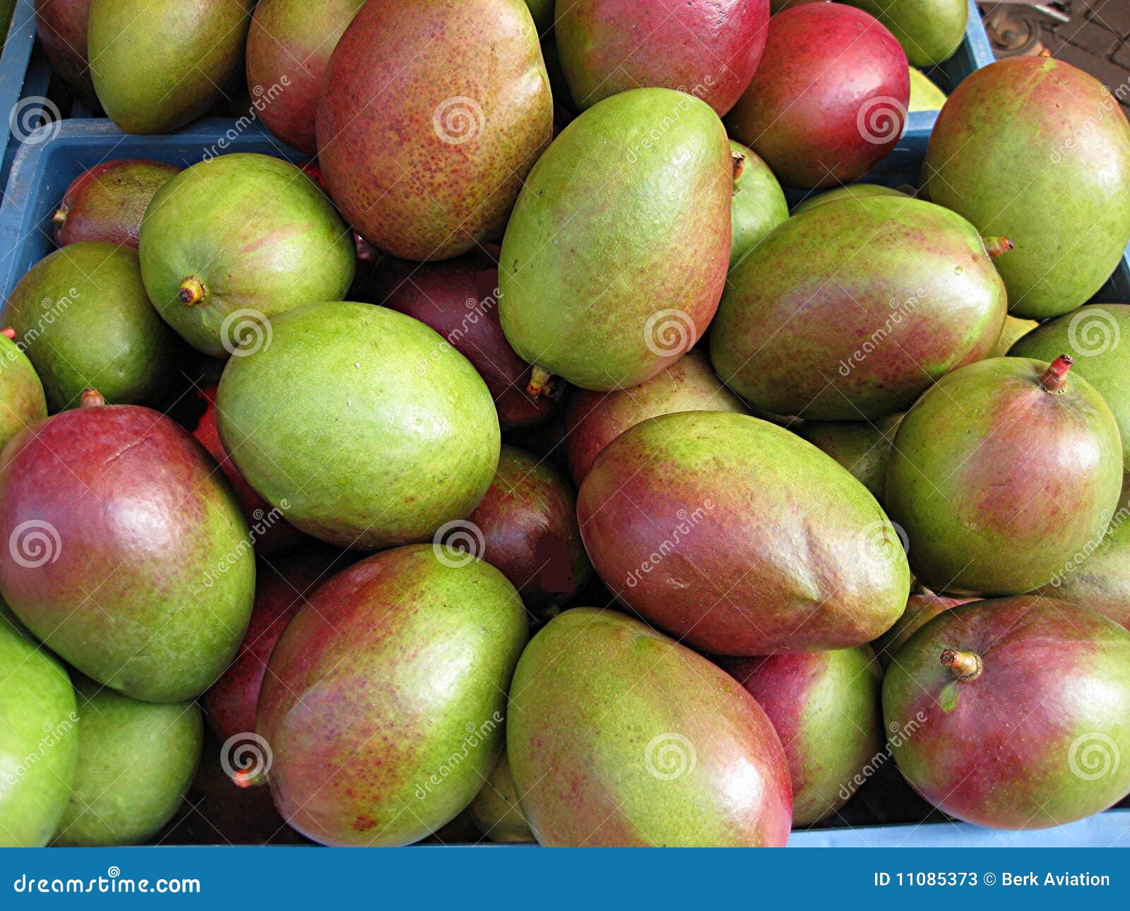 Mangue image stock. Image du chair, nourriture, rouge - 11085373