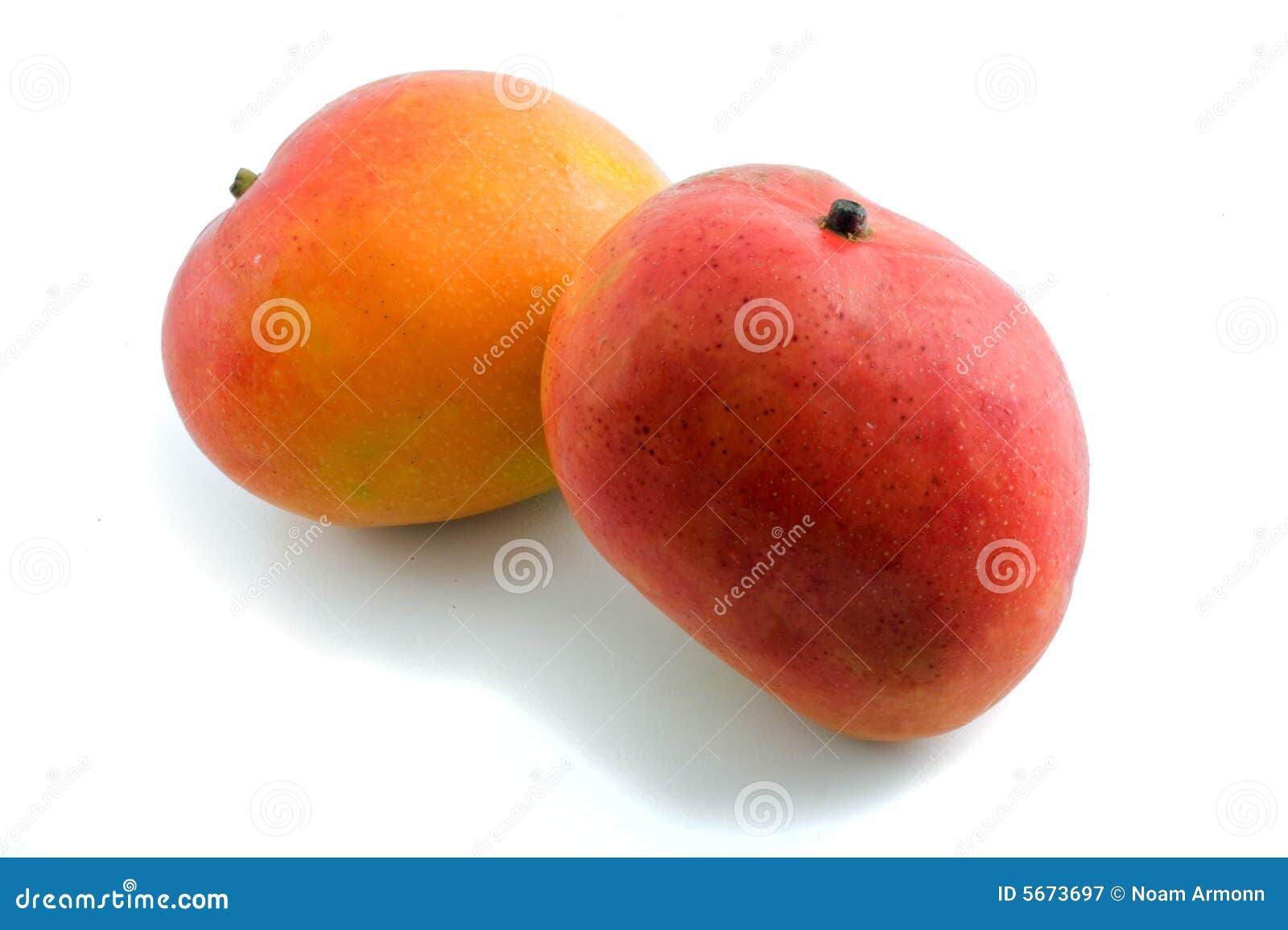 Mangue image stock. Image du frais, mangez, nature, ovale - 5673697