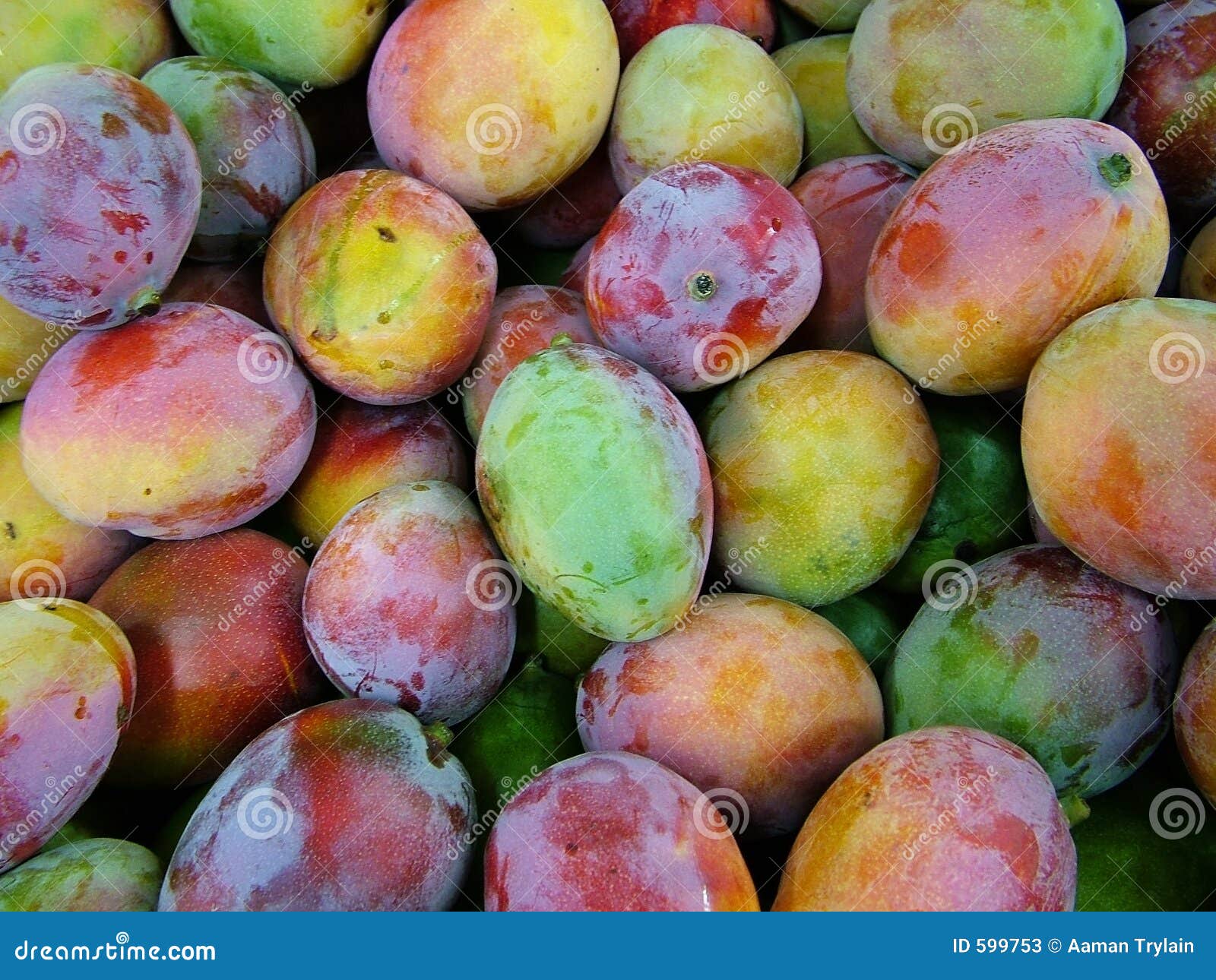 Mangue image stock. Image du fruits, sain, rouge, juteux - 599753