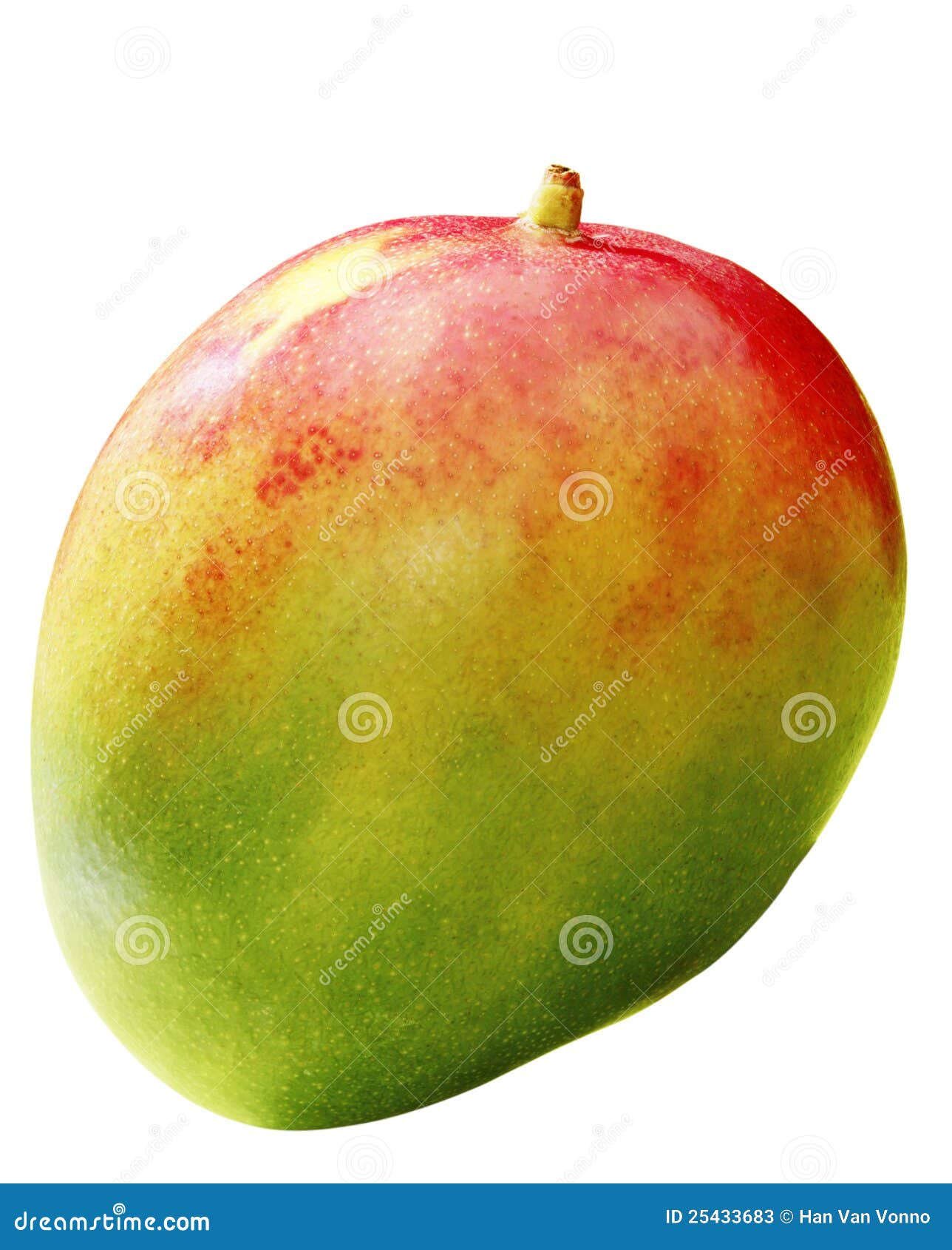 122,762 Mangue Photos libres de droits et gratuites de Dreamstime