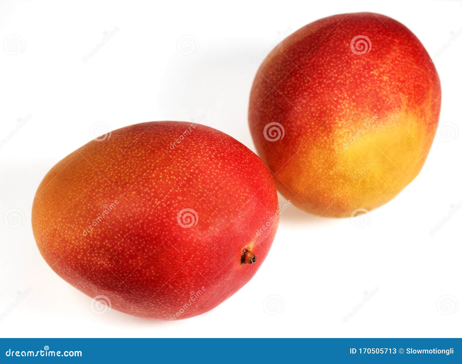 MANGUE stock image. Image of food, mango, exotic, botany - 170505713