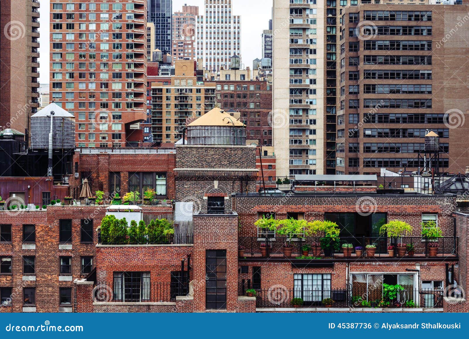 Manhattan View from the Roof Stock Photo - Image of view, population ...