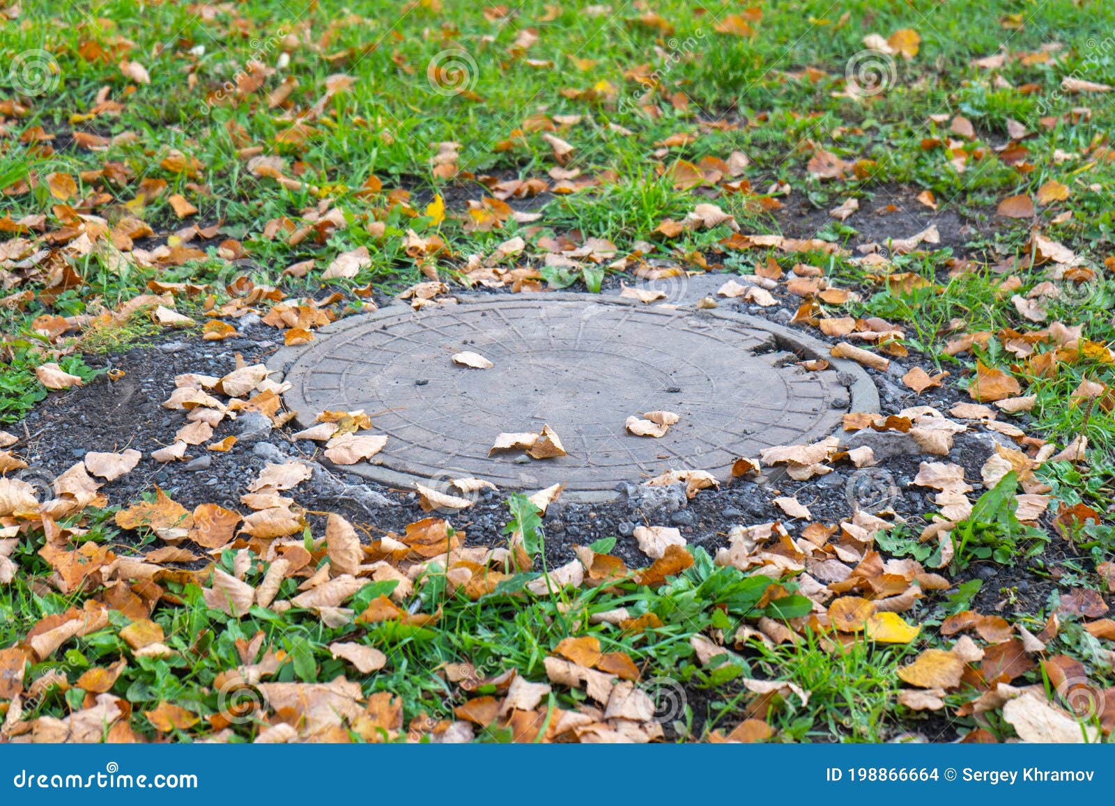 A Manhole Made of Plastic on the Lawn with the Grass and Leaves Stock ...