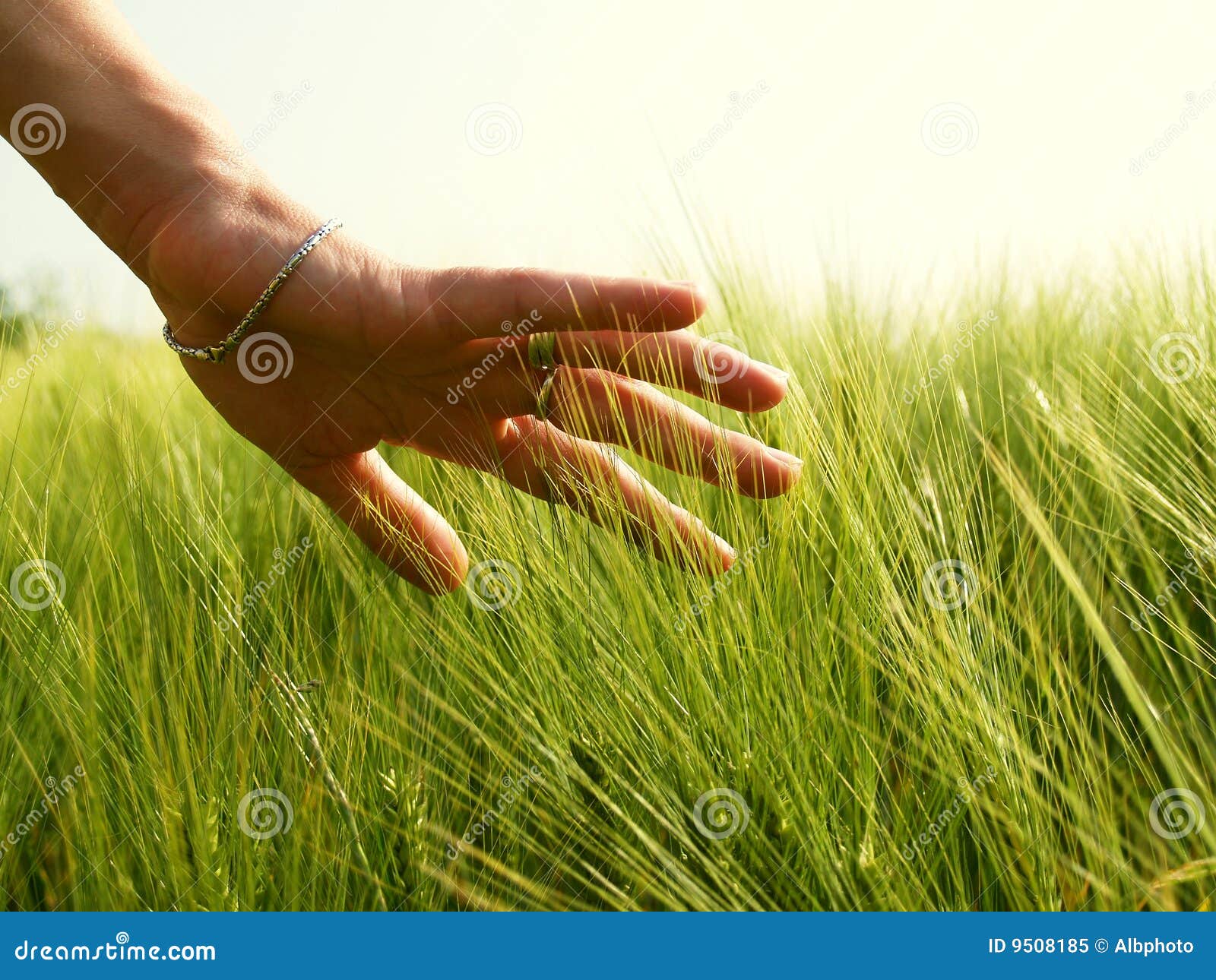 Mani che toccano granulo immagine stock. Immagine di agricoltura - 9508185