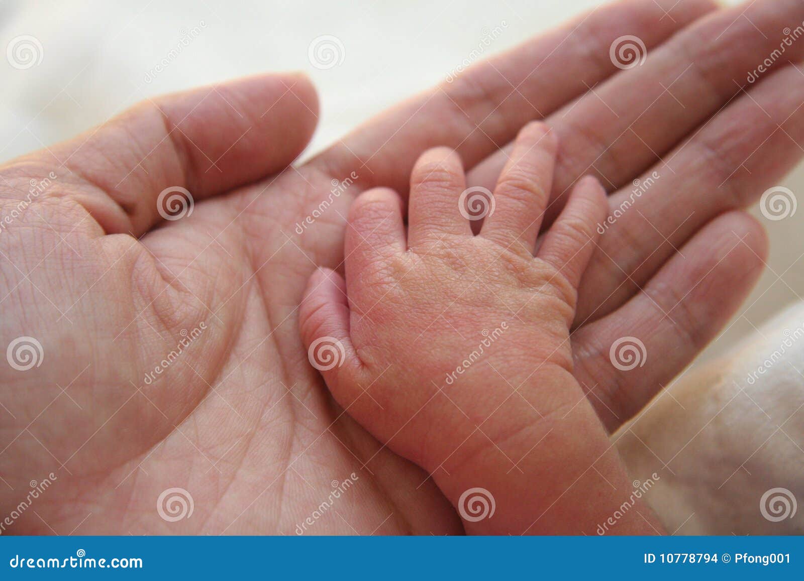 Mani Del Bambino E Della Madre Fotografia Stock - Immagine di madre ...