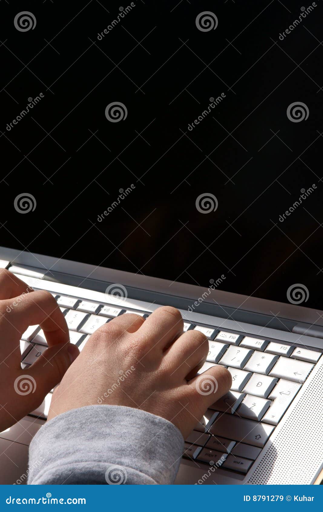 Mani Dell'uomo Che Digitano Al Computer Portatile Immagine Stock ...