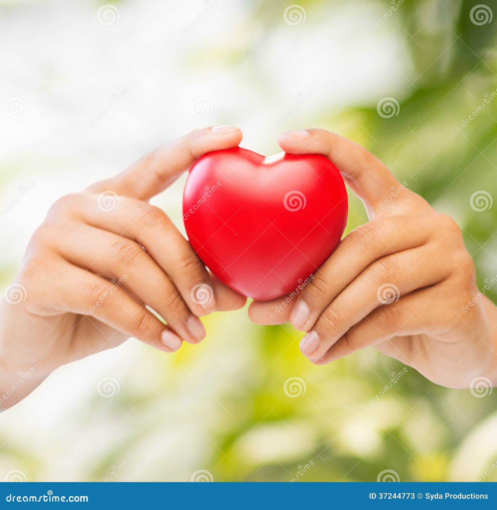 Mani della donna con cuore immagine stock. Immagine di organico - 37244773