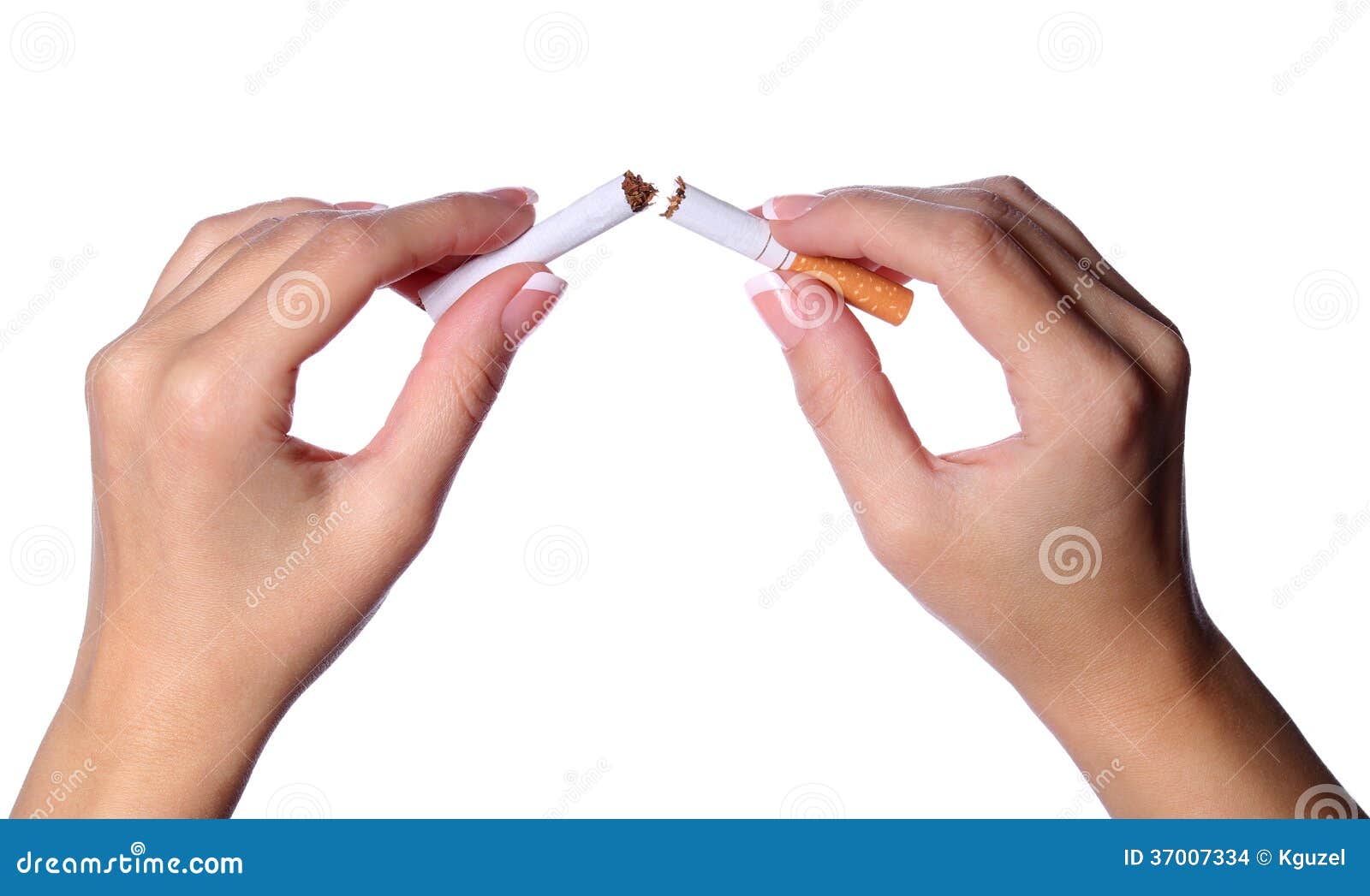 Mani Femminili Che Tagliato Una Sigaretta in Due Isolata Su Bianco ... Mani Femminili Che Tagliato Una Sigaretta in Due Isolata Su Bianco ...